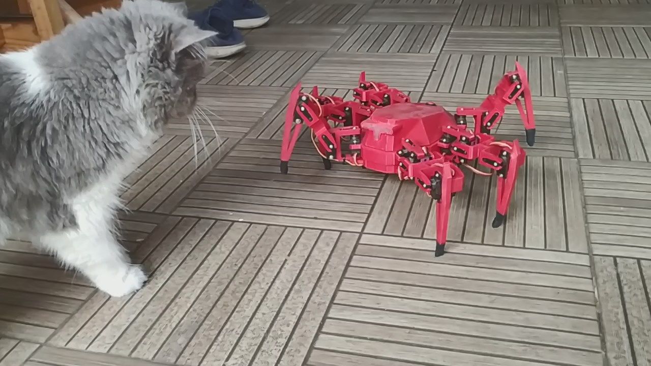 Hex Robo V1 (with Cannon) : 9 Steps (with Pictures) - Instructables