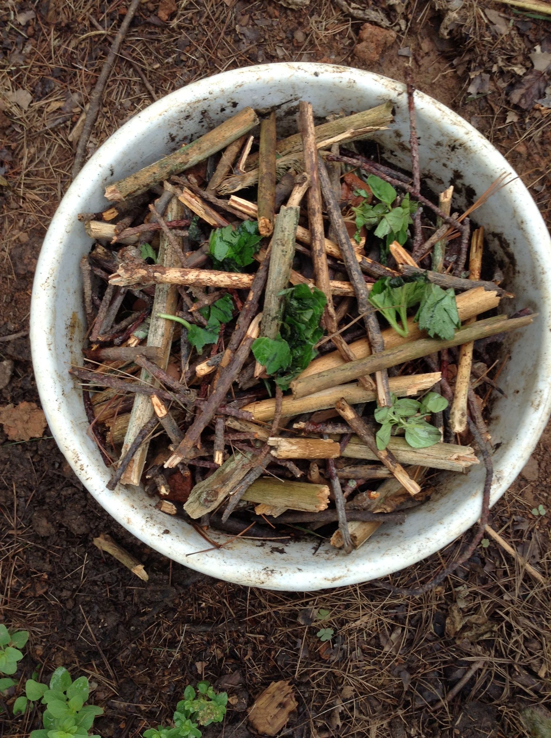 Lizard Lair : 6 Steps - Instructables