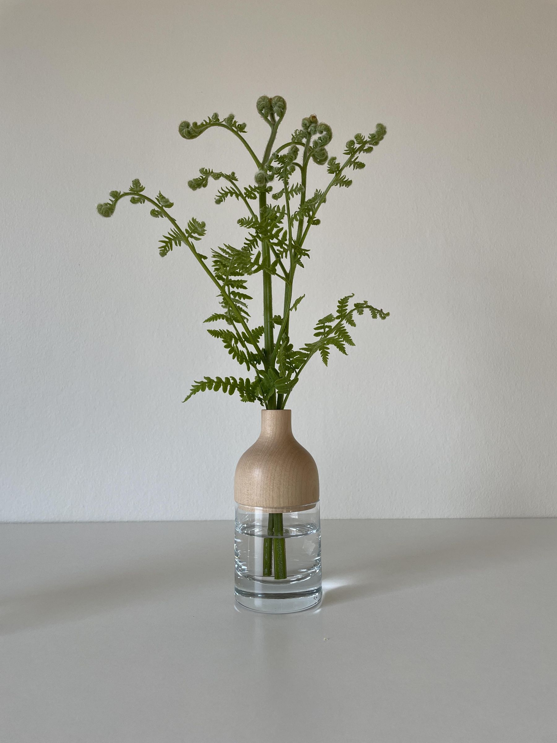 Turn/reuse Your Glasses in to Vases : 9 Steps (with Pictures ...