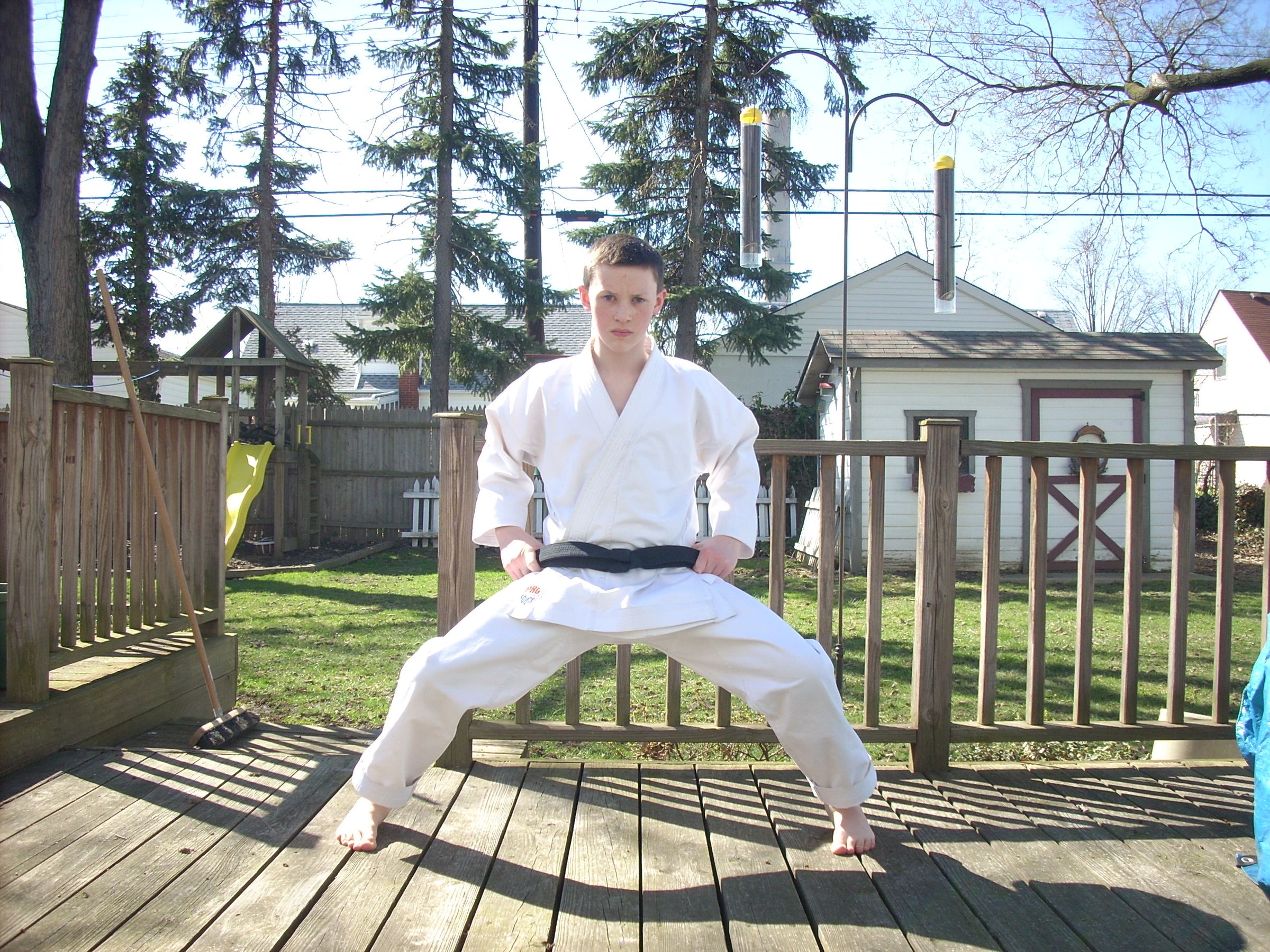 Shotokan Karate Stances Shotokan Karate Stances Kiba Dachi (Horse