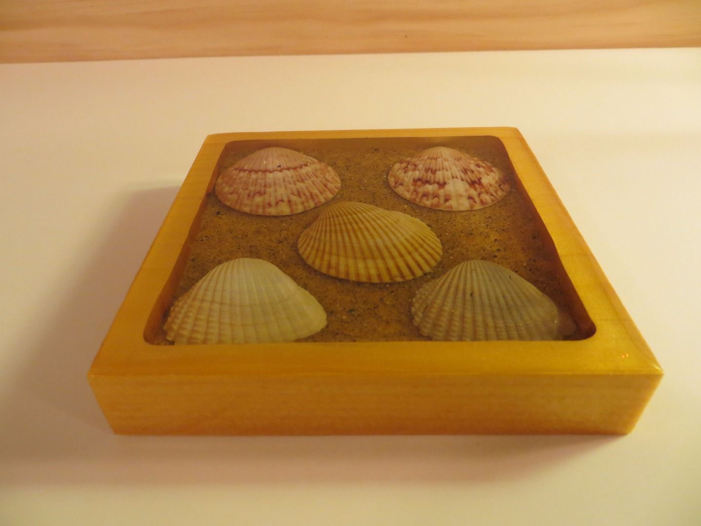 Sea Shell Drink Coaster : 6 Steps - Instructables
