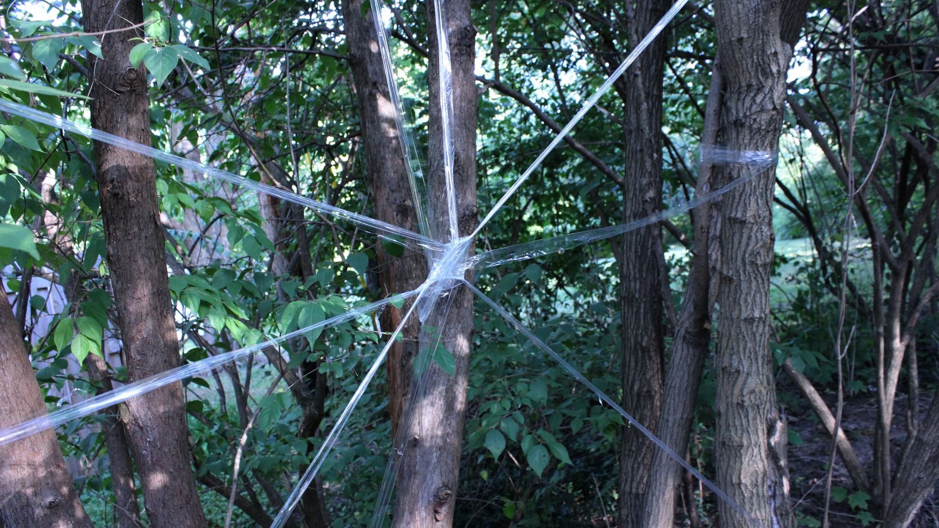 Giant Spider Web : 9 Steps (with Pictures) - Instructables