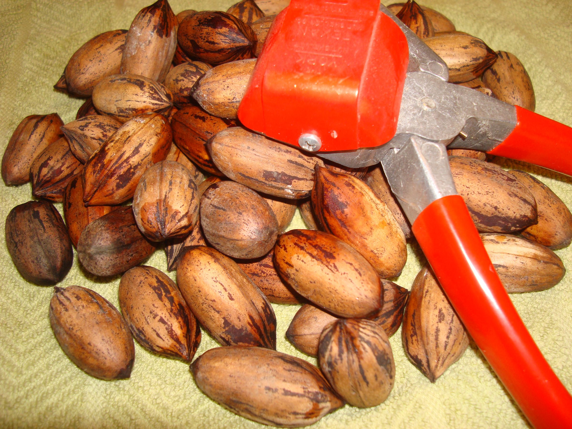 How to Make Raw Pecan Milk : 8 Steps (with Pictures) - Instructables