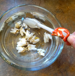 Bleaching/Whitening Deer Bones and Teeth : 5 Steps - Instructables
