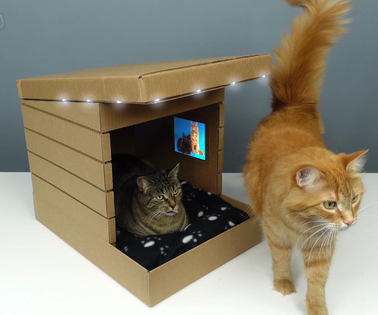 Modern Cardboard Pet House for Cats 🐱 : 11 Steps (with Pictures ...