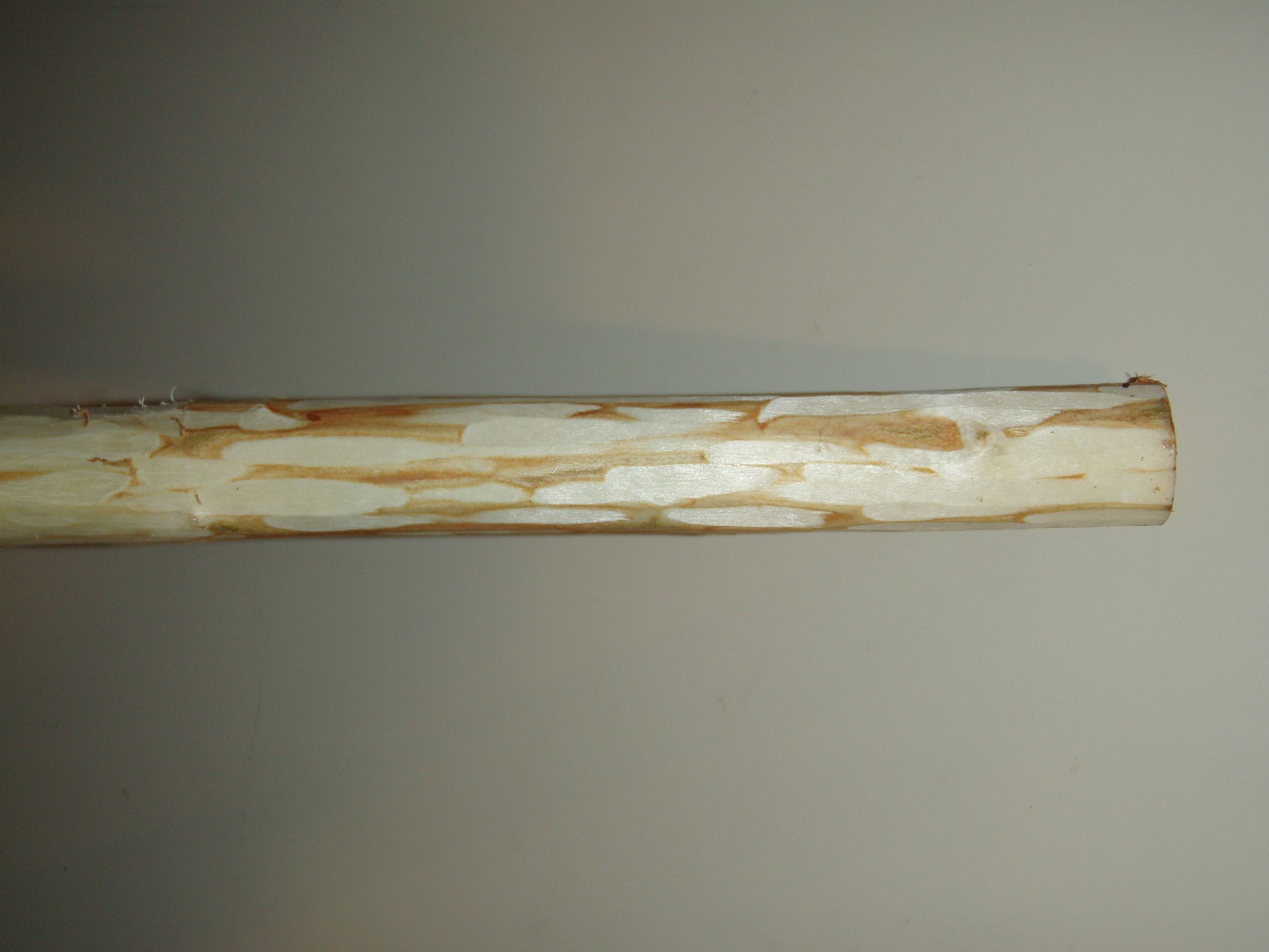 Carve a Staff / Walking Stick : 16 Steps (with Pictures) - Instructables
