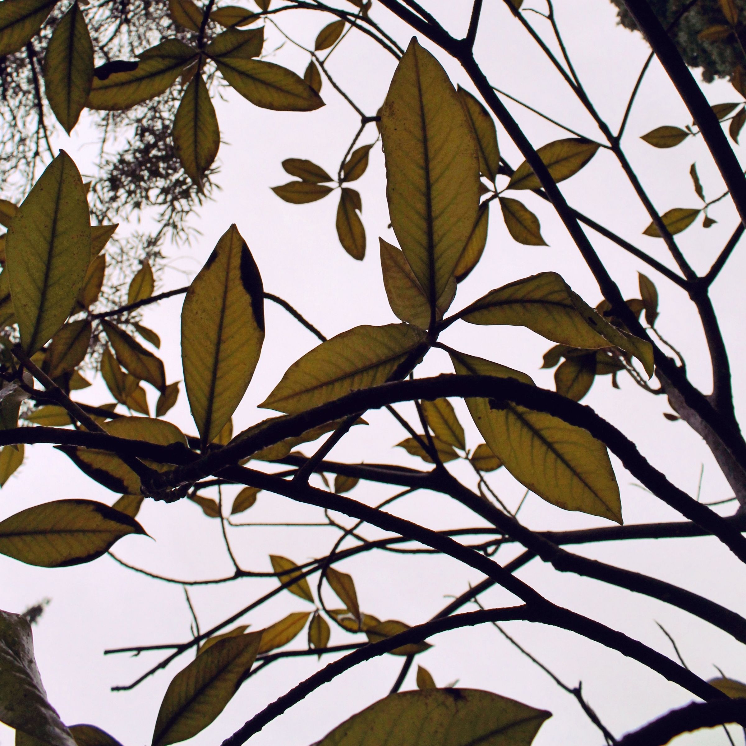 Calder-style Modern Art Mobile : 11 Steps (with Pictures) - Instructables