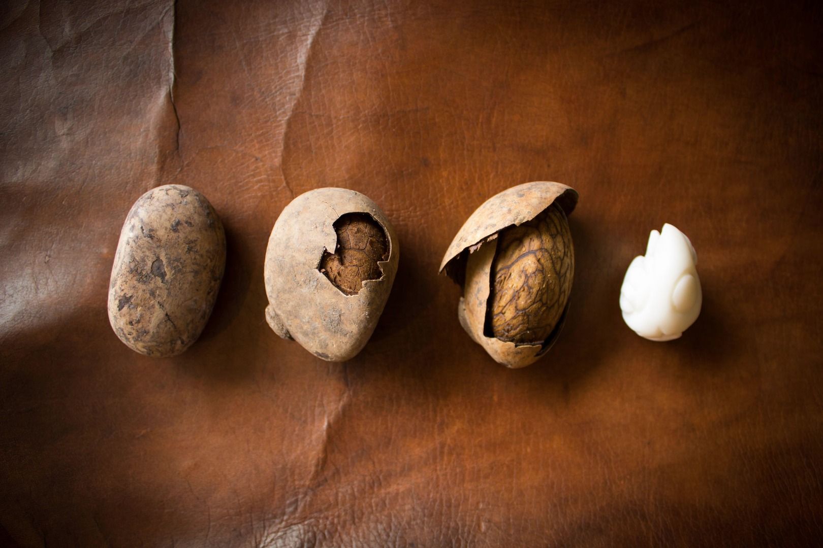 Carved Vegetable Ivory (Tagua) Bracelet : 16 Steps (with Pictures ...