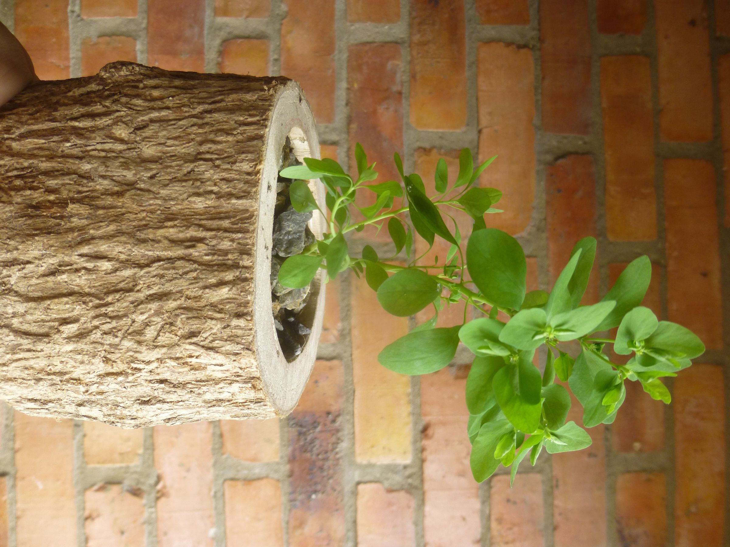 ORGANIC PLANTERS : 3 Steps - Instructables