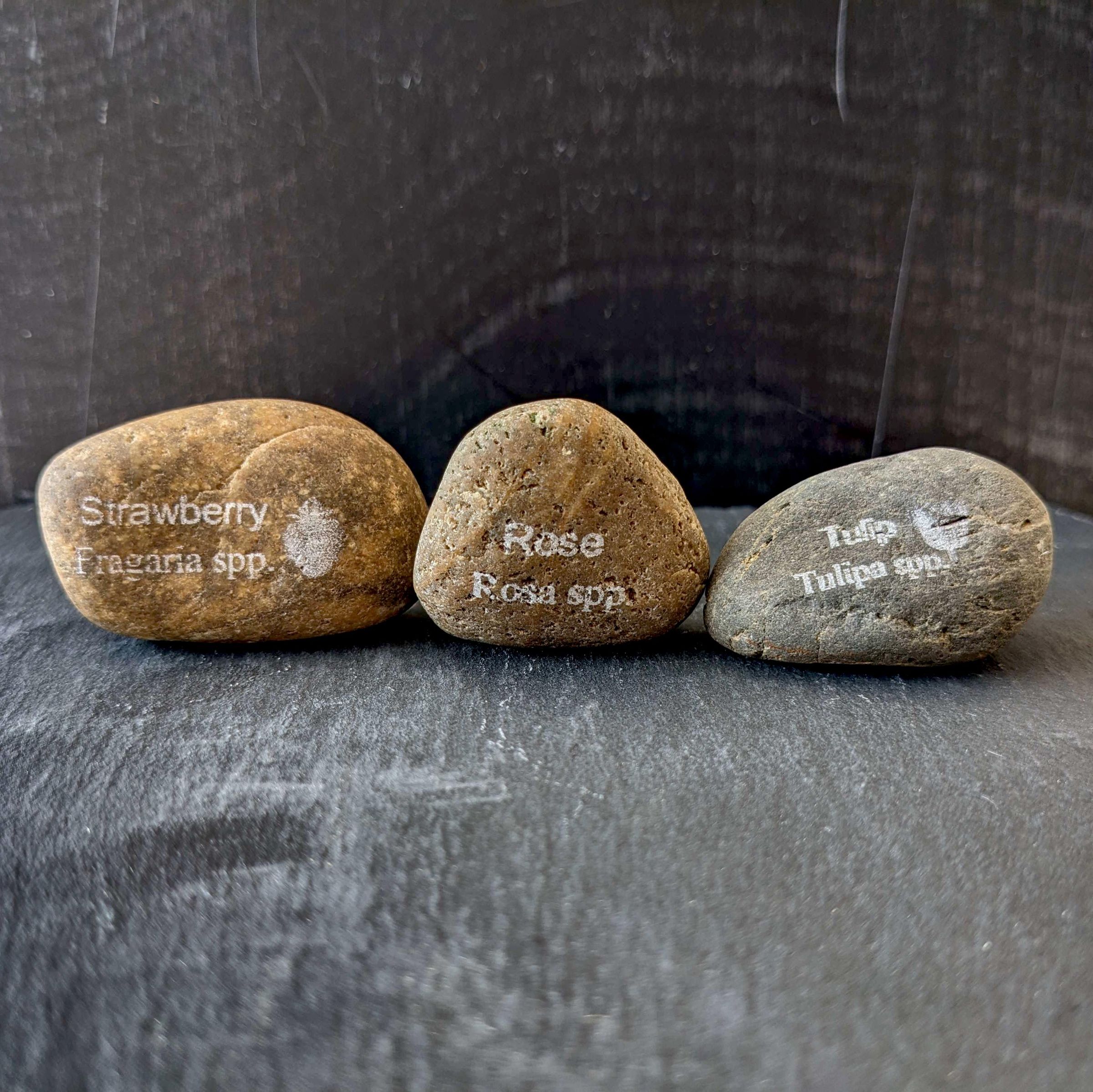 Laser-Engraved Stone Garden Markers : 6 Steps - Instructables