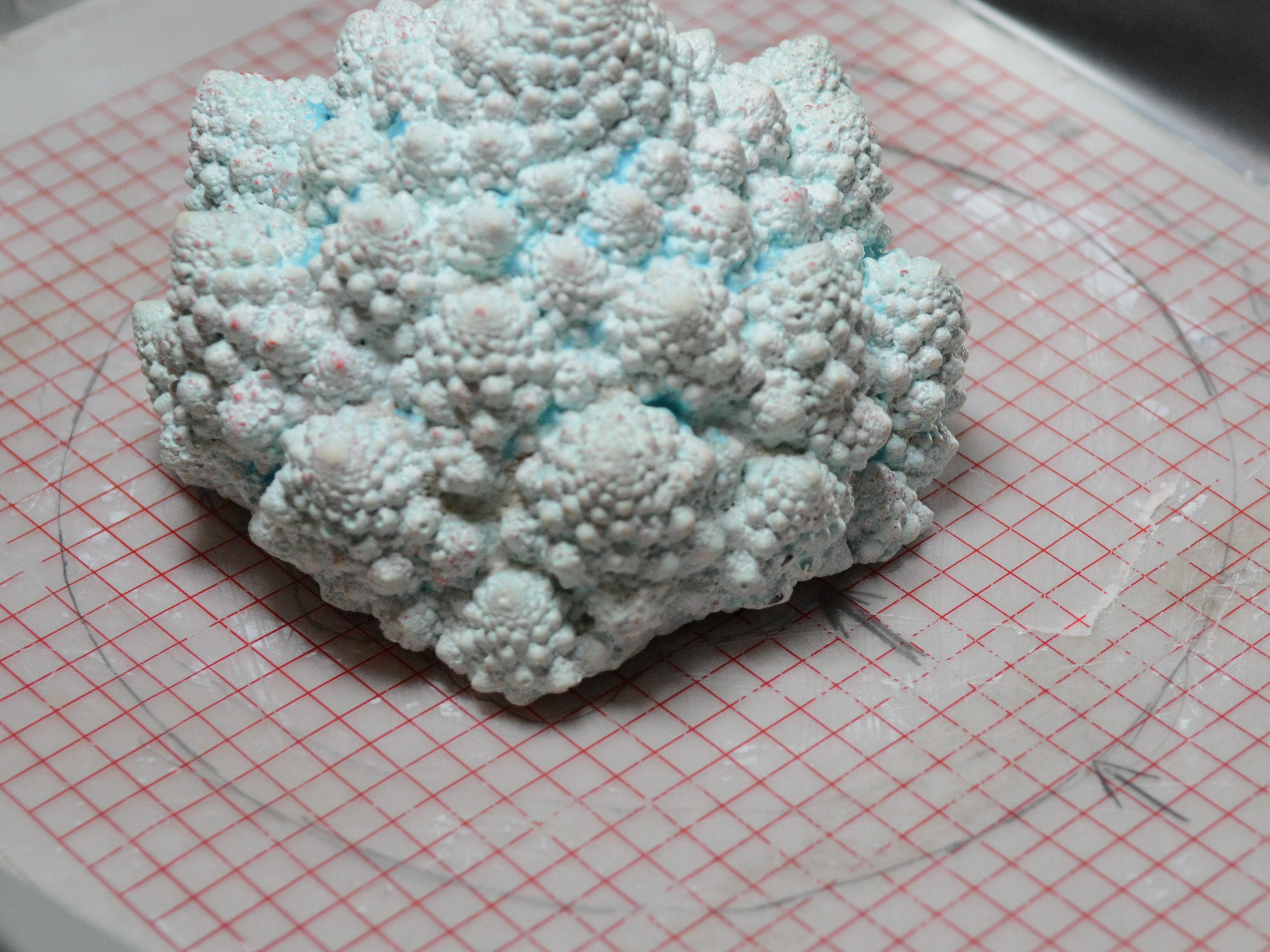 Turn Romanesco Broccoli Into a Candle : 17 Steps (with Pictures ...