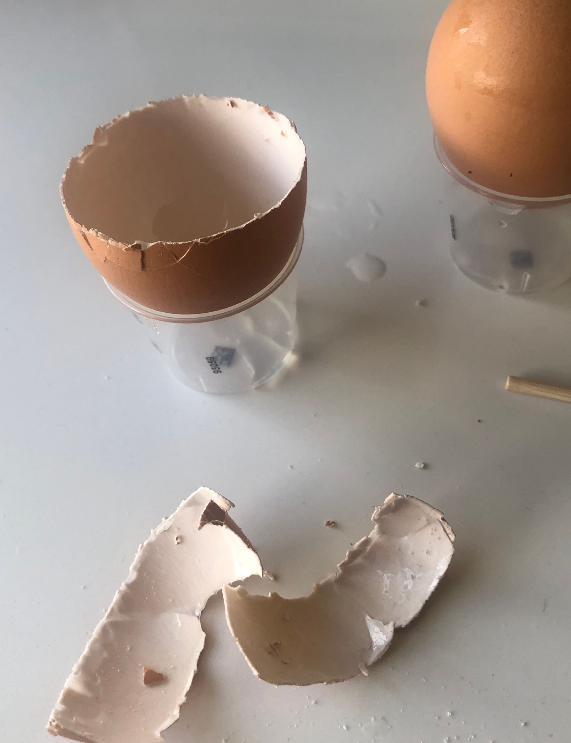 Make a Micro Eggshell Planter Out of Cement for Tiny Succulent Plants ...