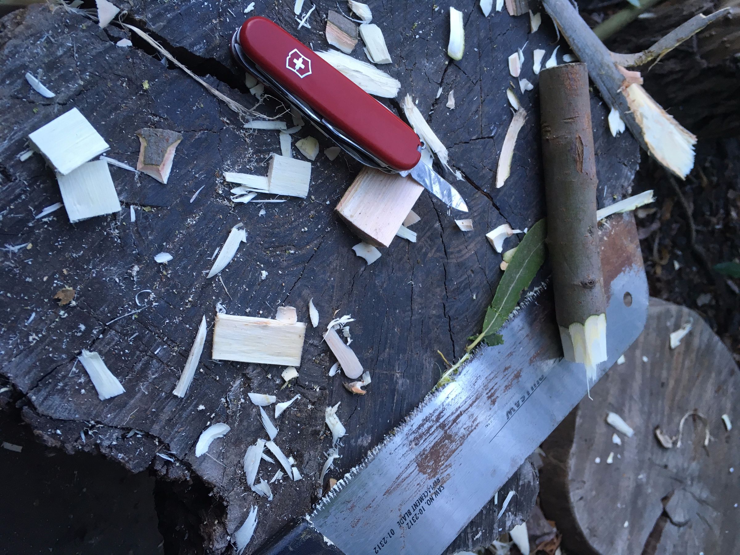 5 Super-easy Branch Carving Projects : 10 Steps (with Pictures ...