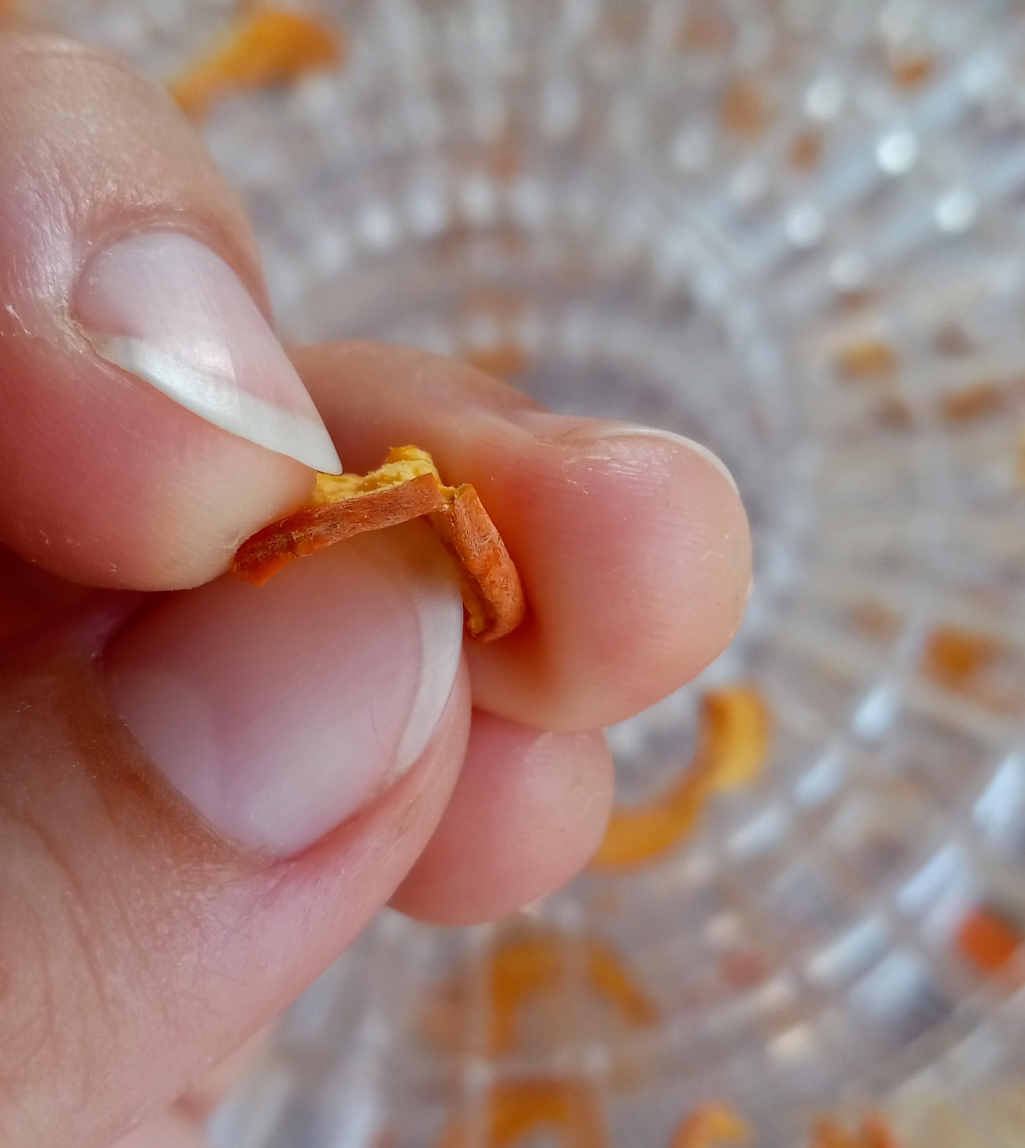 Dehydrated Pumpkin for Hermit Crabs : 4 Steps (with Pictures ...