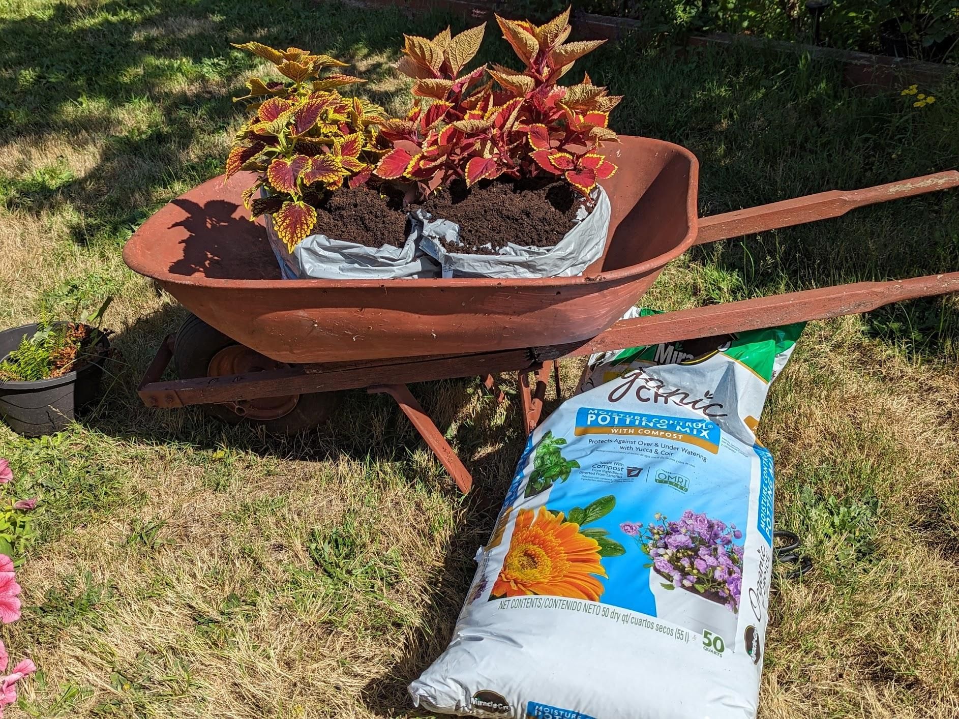 Wheelbarrow Planter : 5 Steps (with Pictures) - Instructables