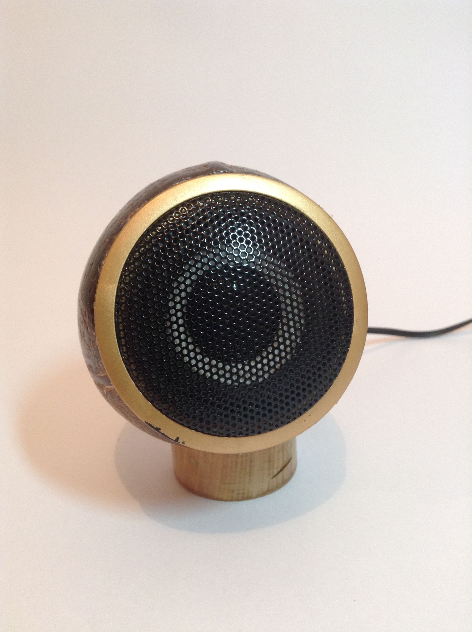 Coconut Speaker. : 4 Steps (with Pictures) - Instructables
