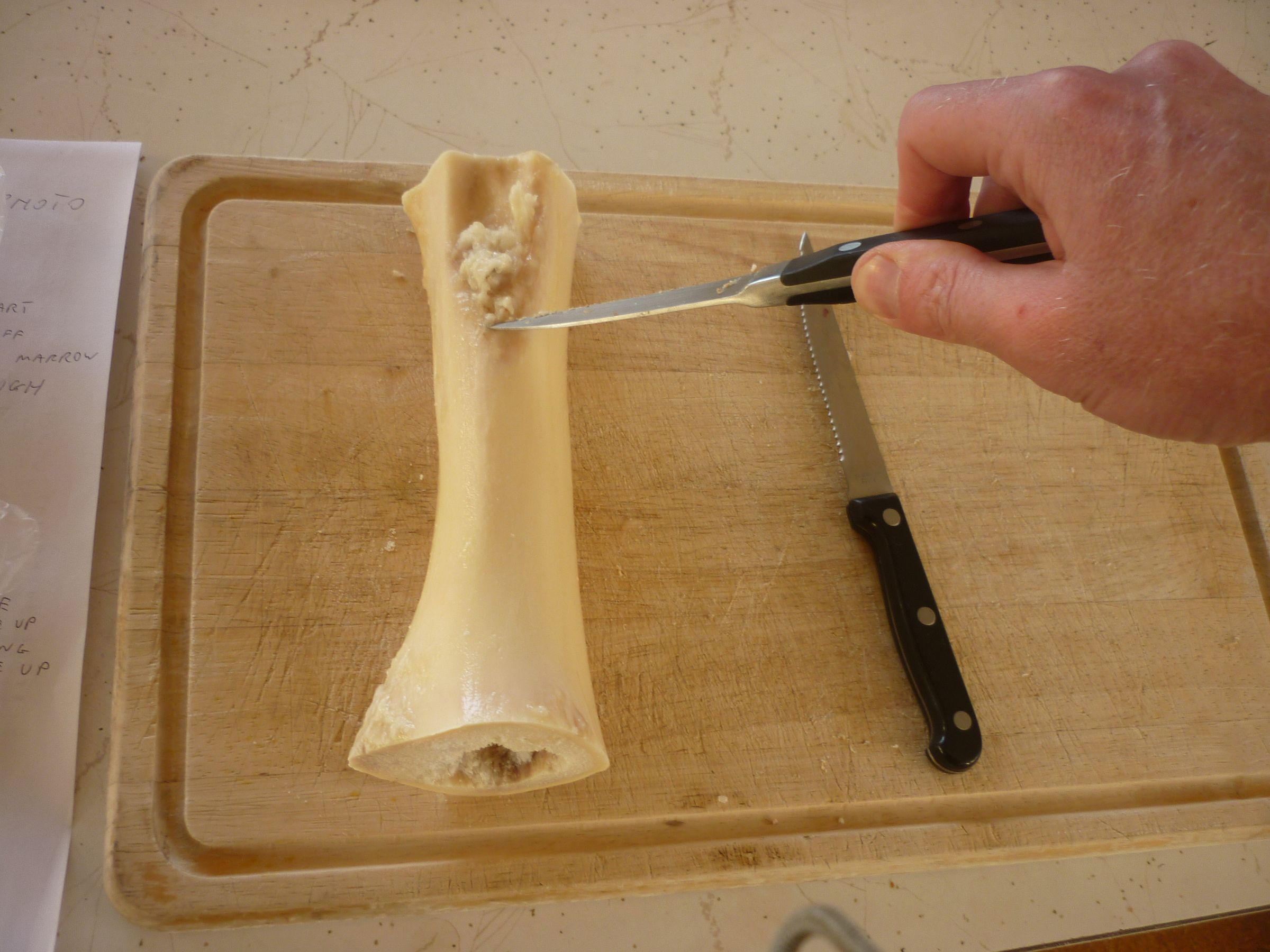 Prepare Bone for Carving : 8 Steps - Instructables