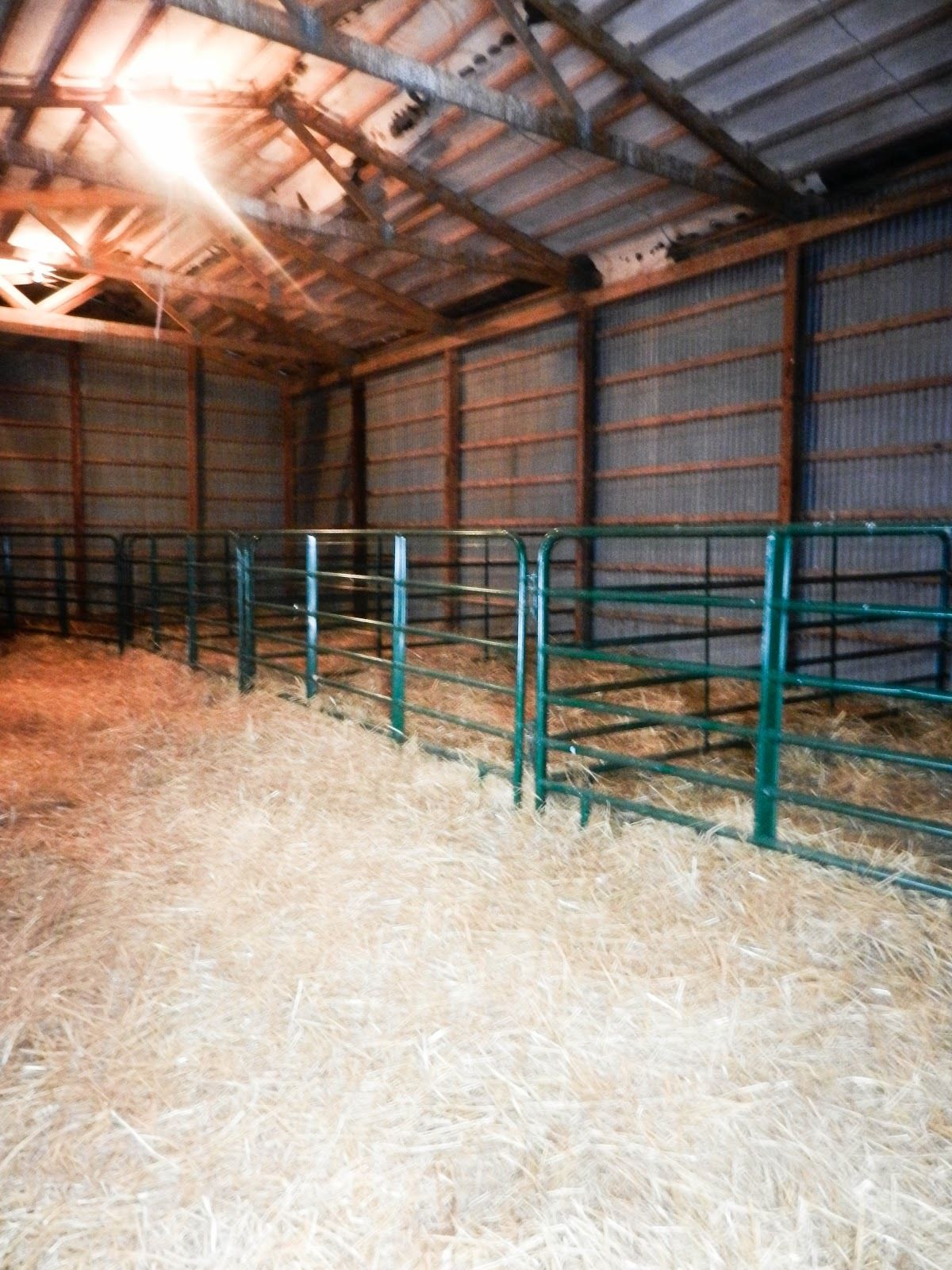 Barn Pen Ideas