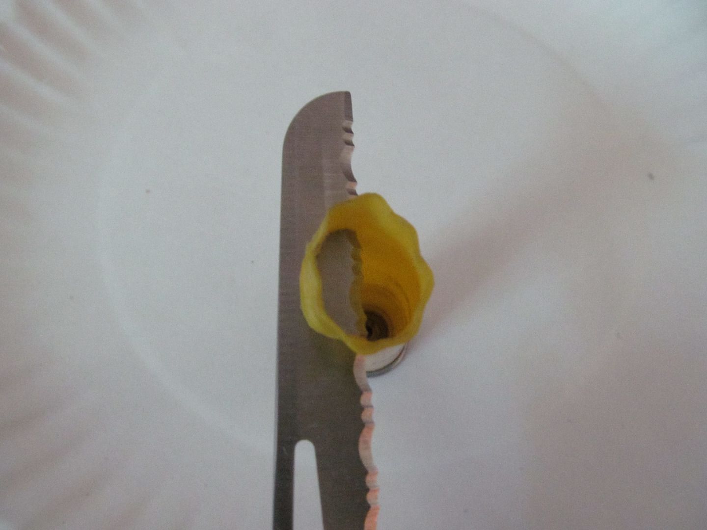 Bullet Shell Case : 5 Steps - Instructables