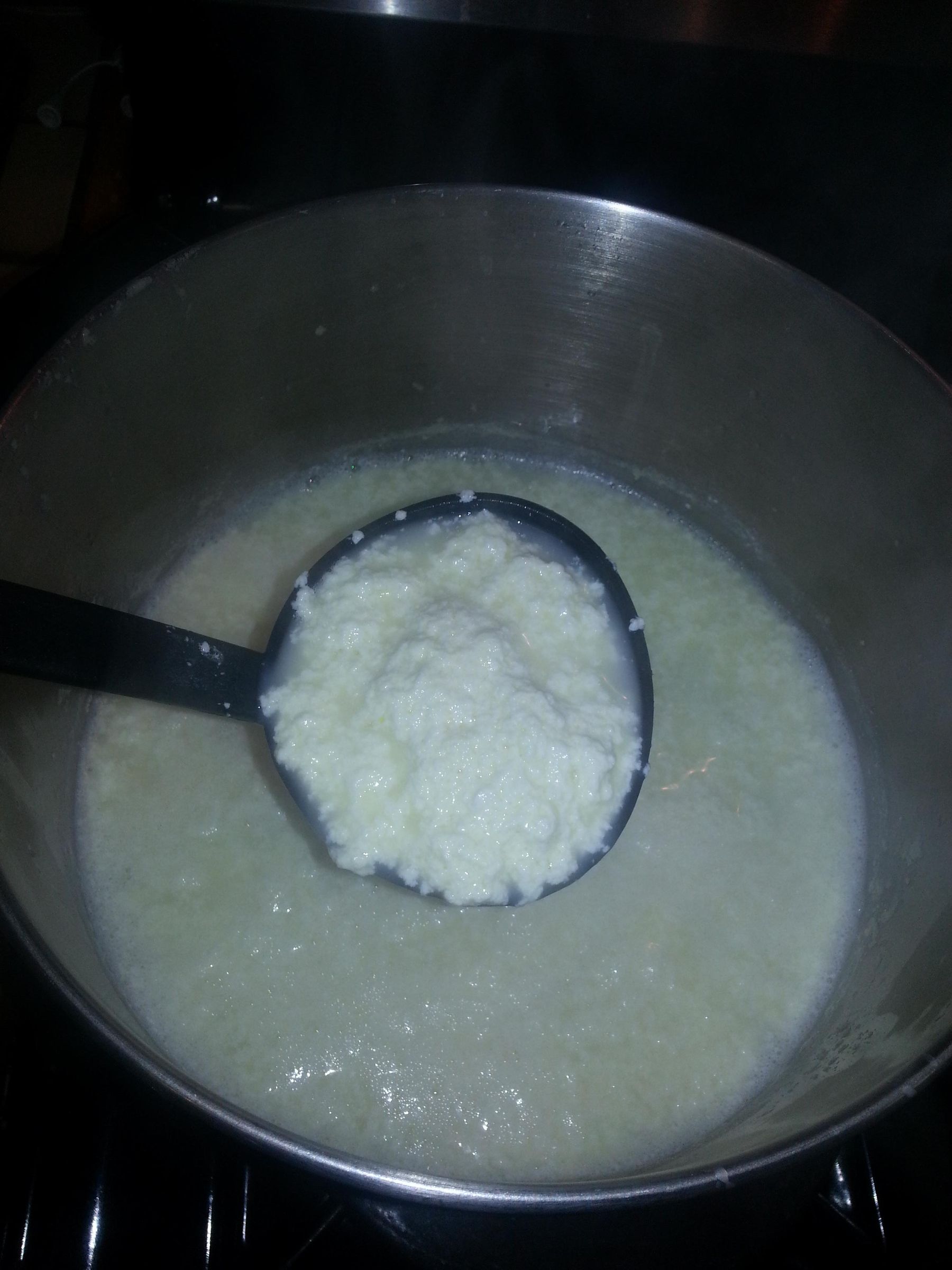 How to Make Fresh White Cheese in Oil With Herbs : 8 Steps (with ...