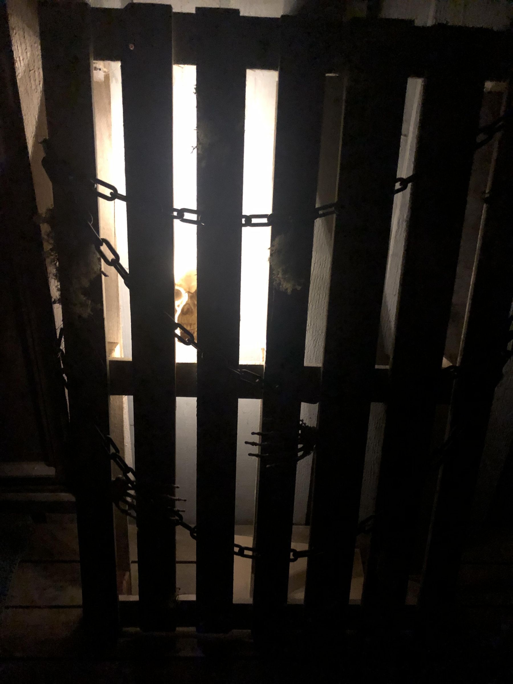 Caged Skeleton : 8 Steps (with Pictures) - Instructables