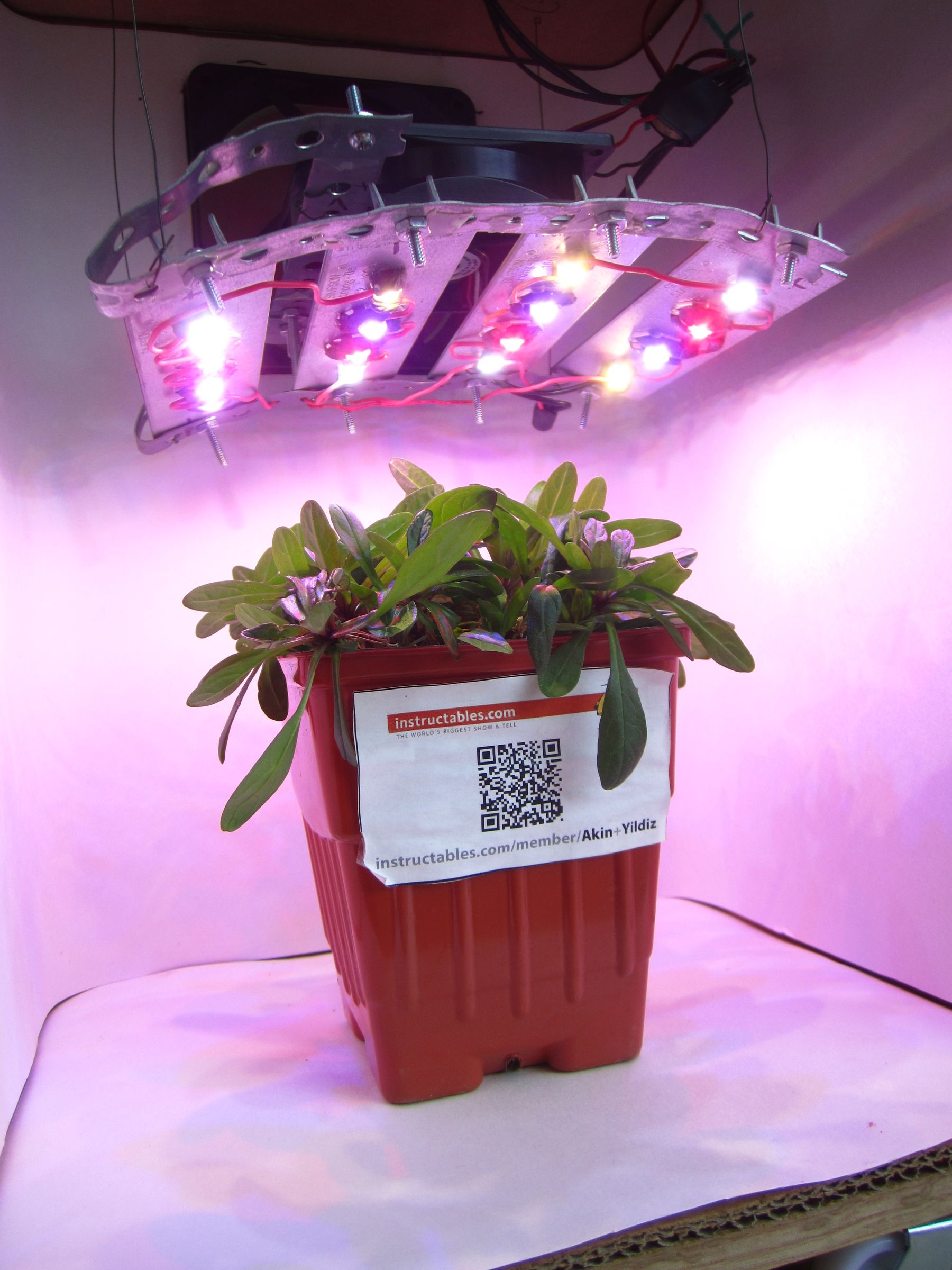 The Plant Box : 6 Steps - Instructables