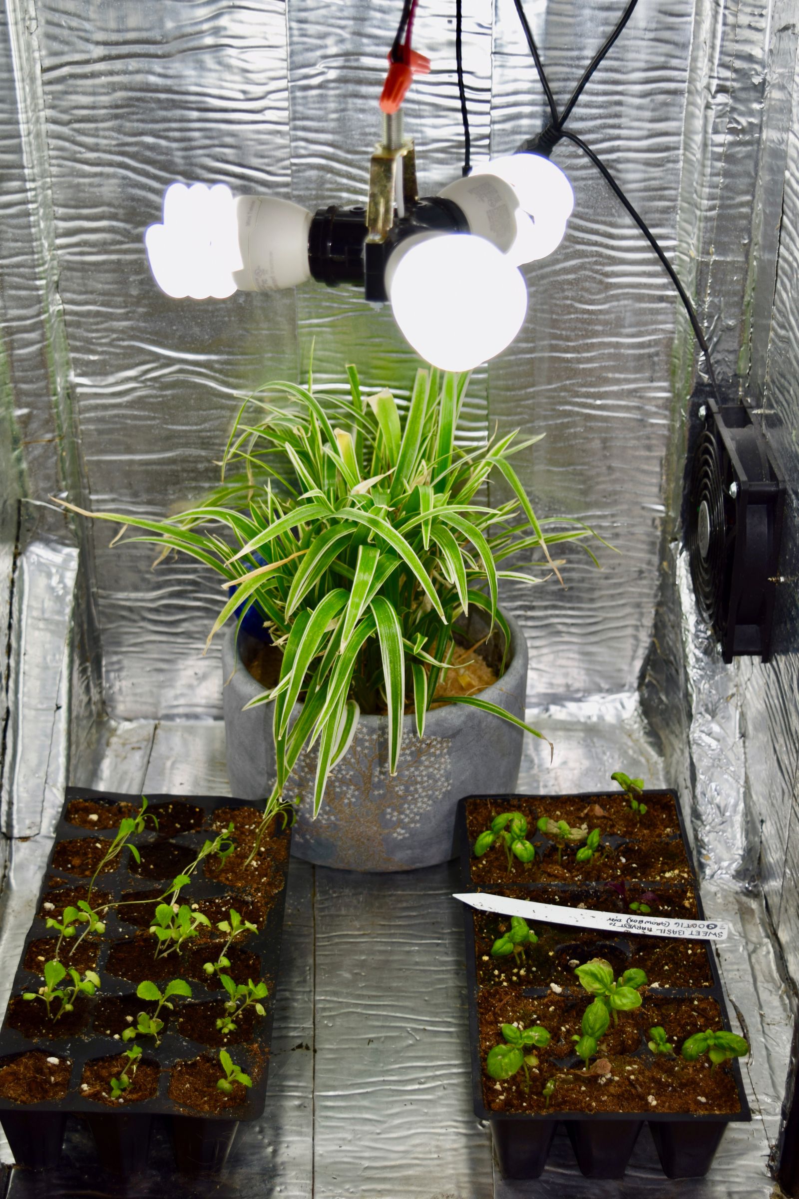DIY Grow Box : 8 Steps (with Pictures) - Instructables