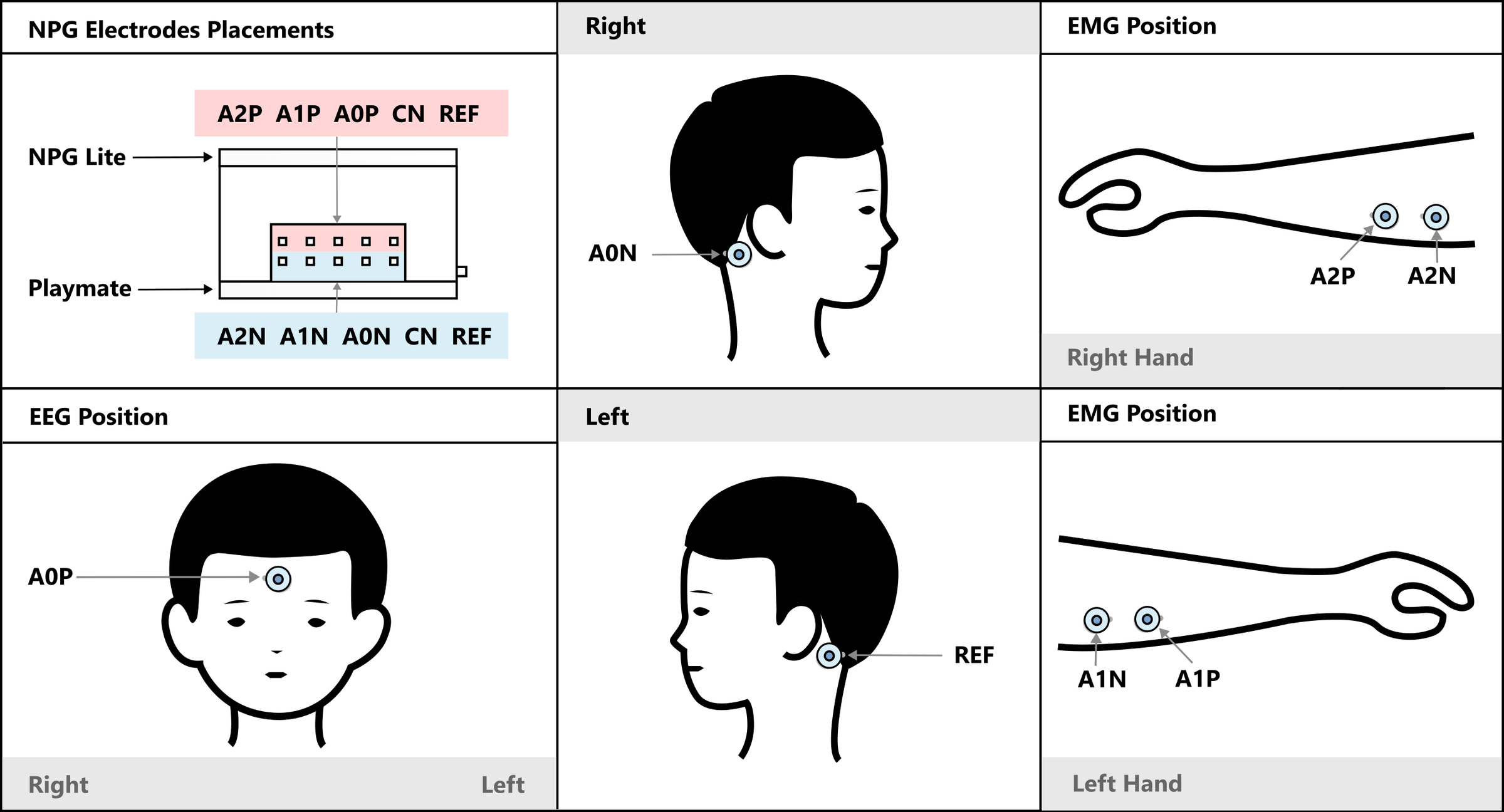 Brain-Controlled Car: EEG + EMG Robotic Control : 11 Steps (with ...