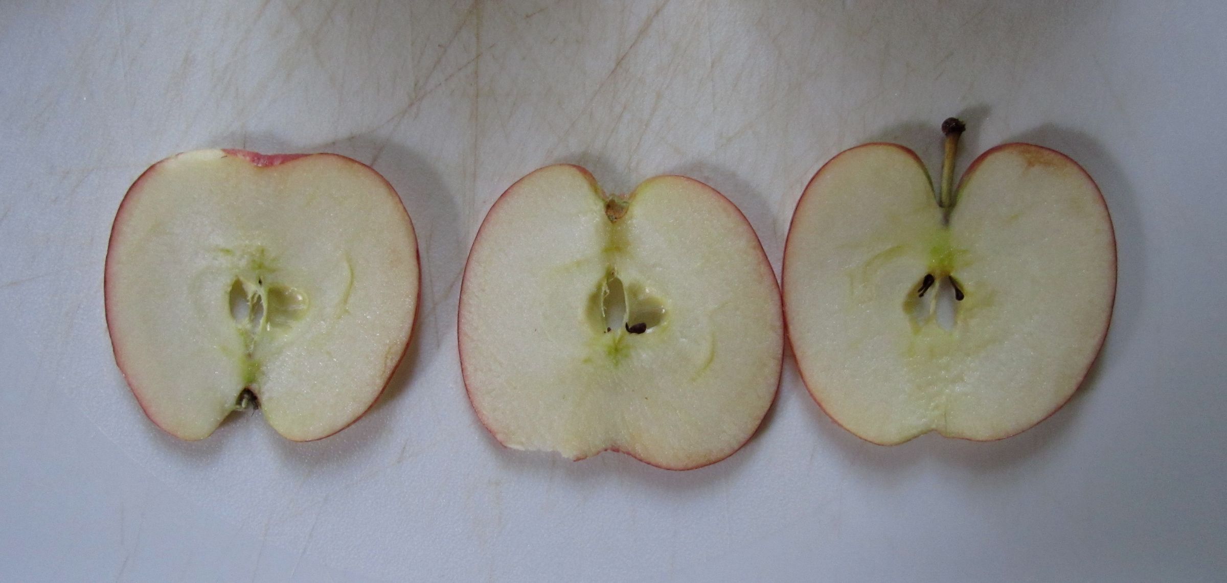 Baked Apple Chips! : 8 Steps (with Pictures) - Instructables