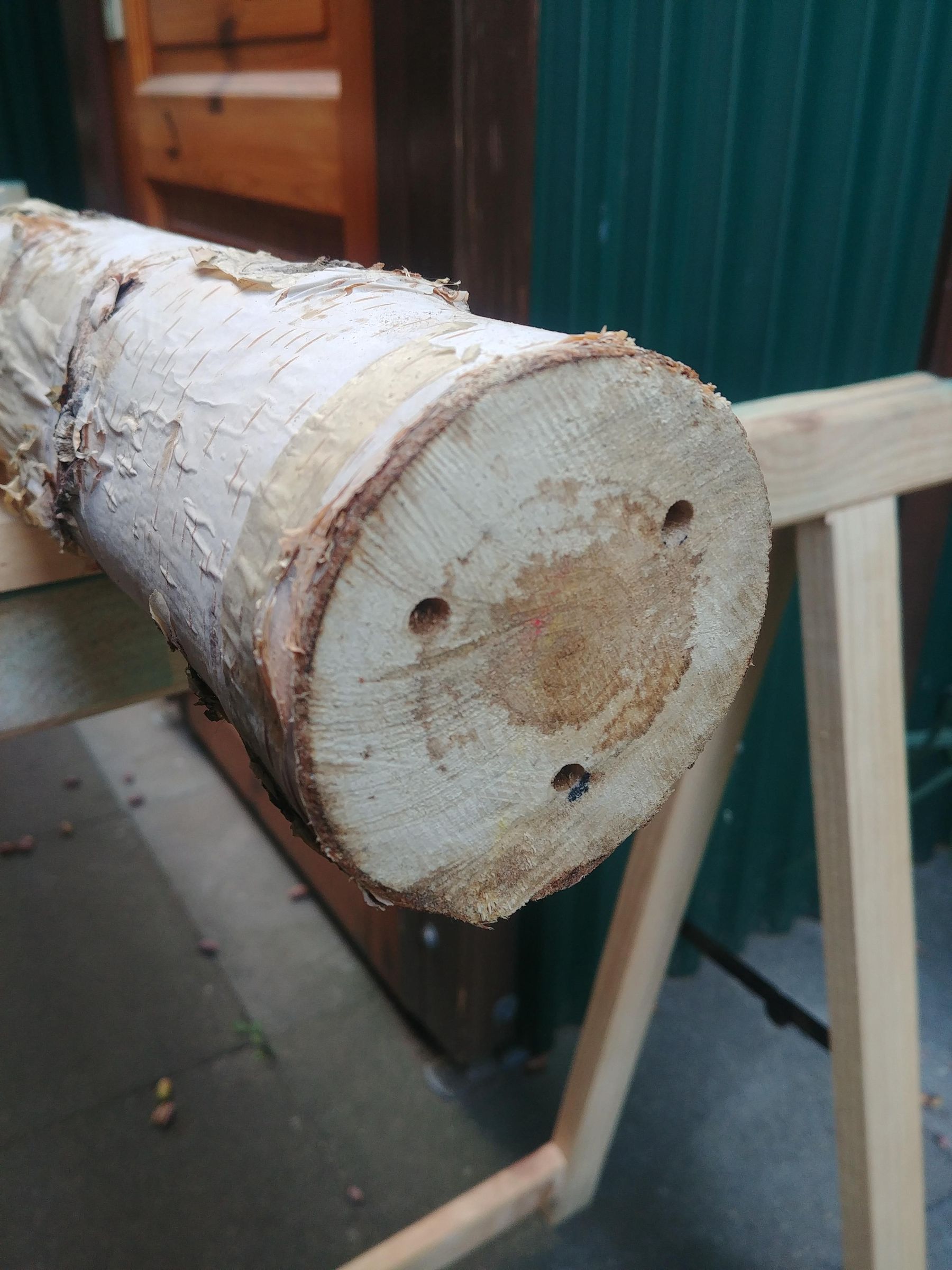 Birch Tree Stand : 4 Steps (with Pictures) - Instructables