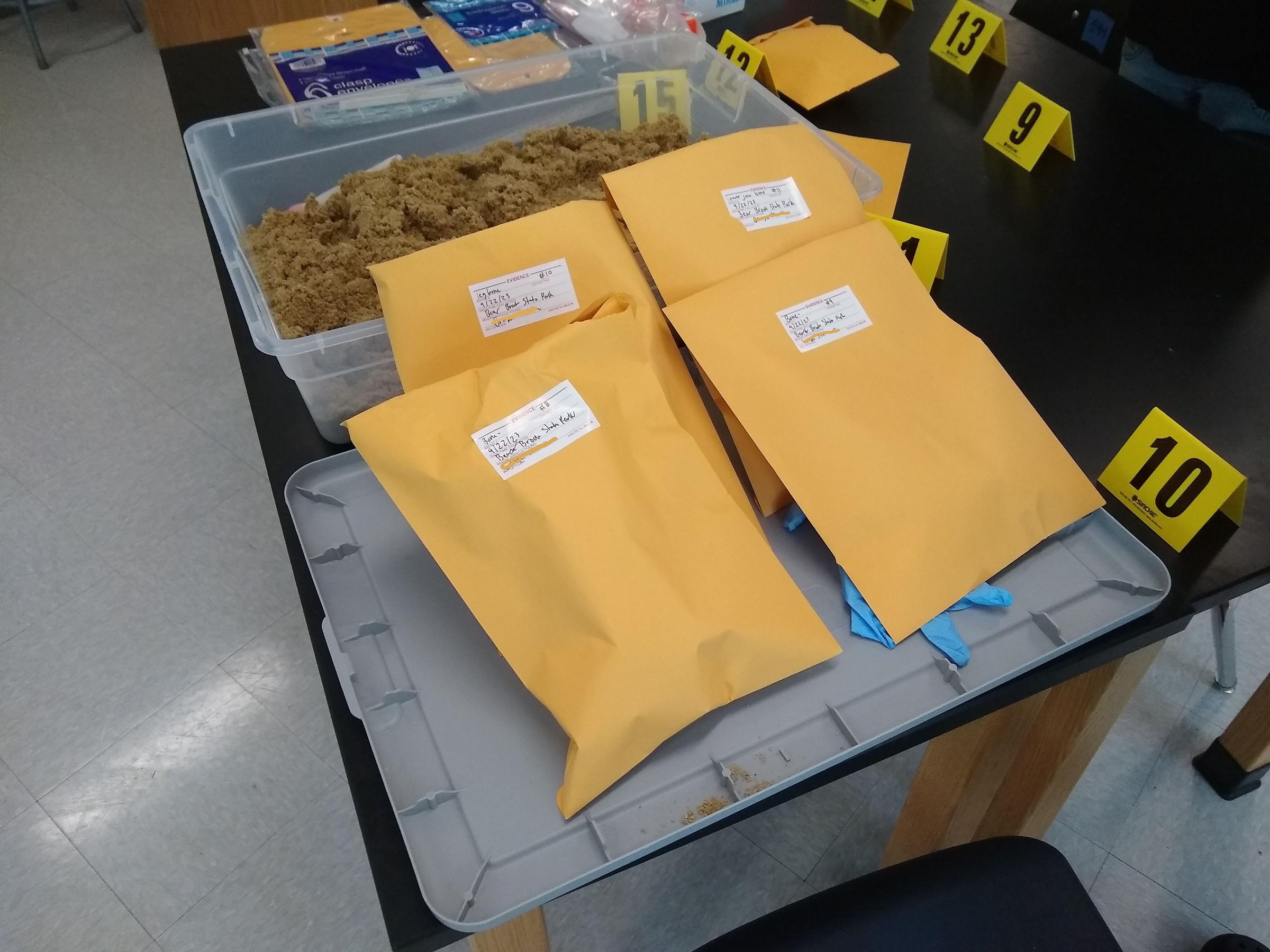 Forensic Anthropology With 3D Printed Bones : 8 Steps (with Pictures ...