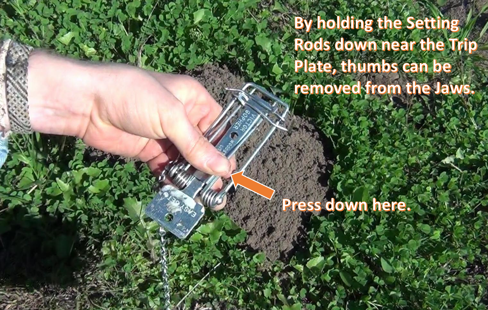 How to Trap Gophers : 7 Steps - Instructables