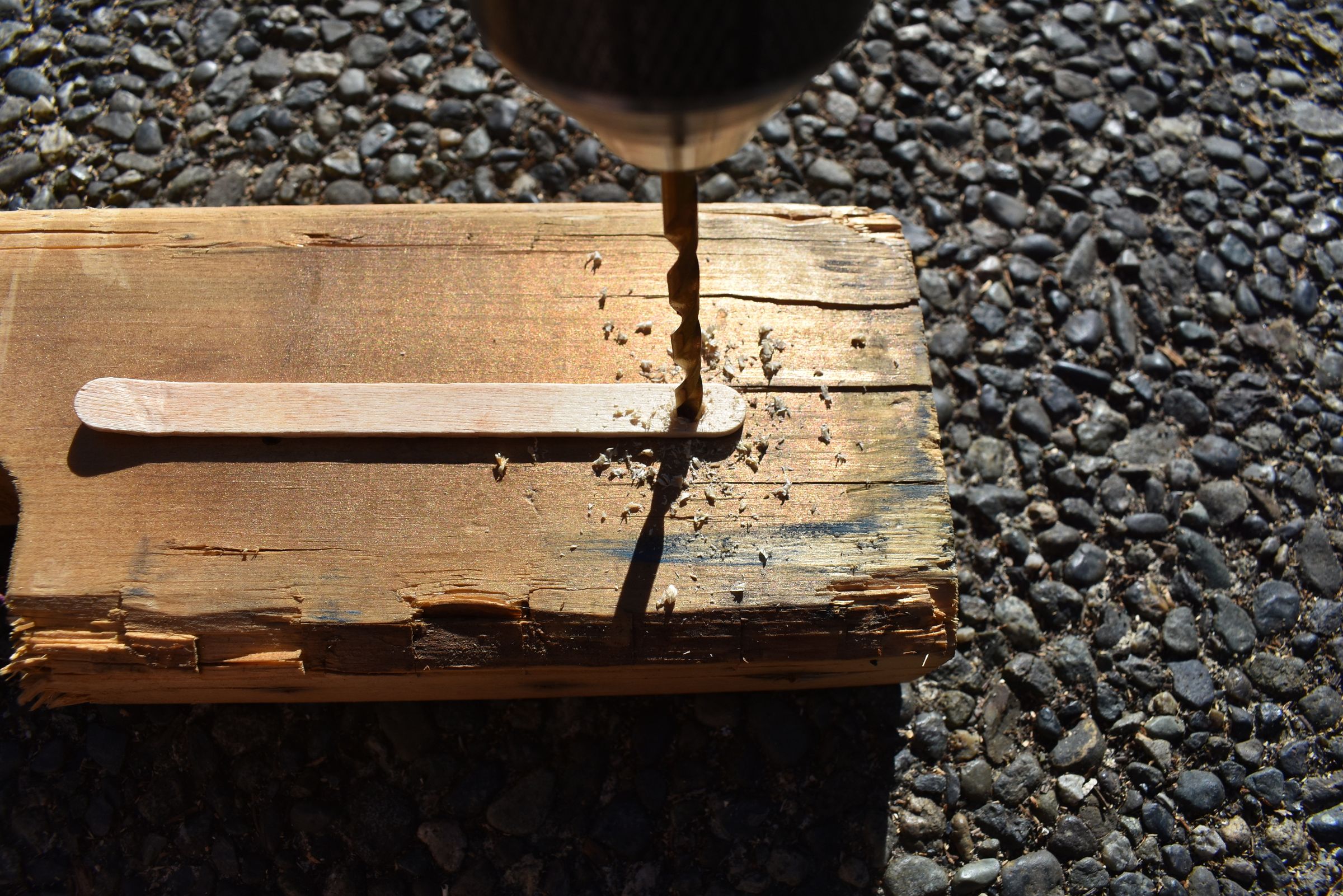 Weaving With Nature : 8 Steps (with Pictures) - Instructables