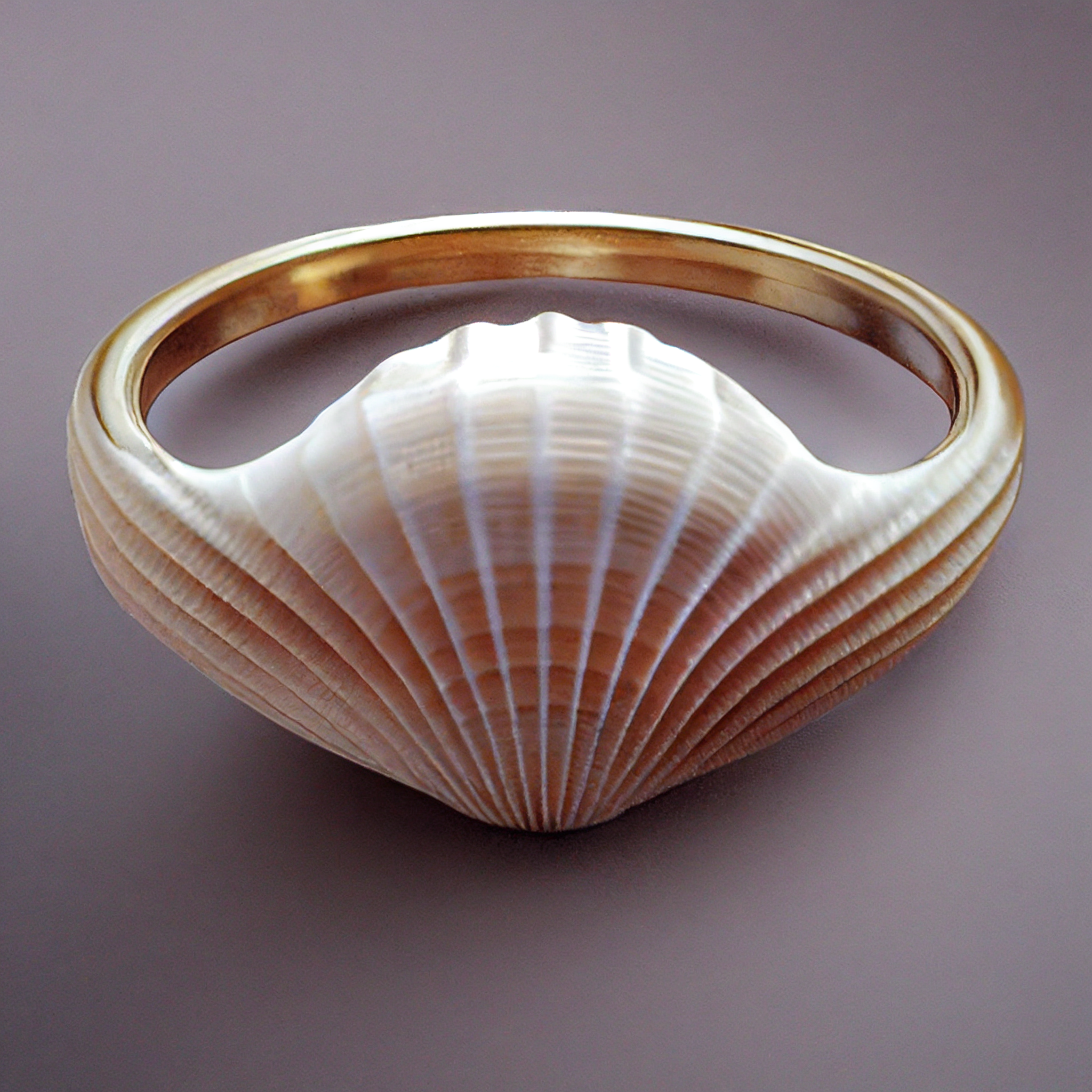 Seashell Ring : 7 Steps - Instructables