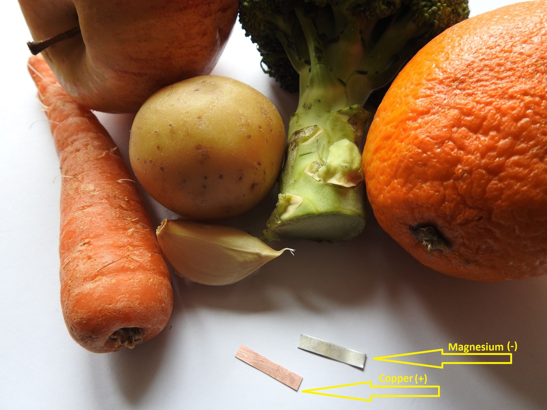 Greenest Energy in the Earth - Vegetable Battery (MEDELIS BATTERY Green ...