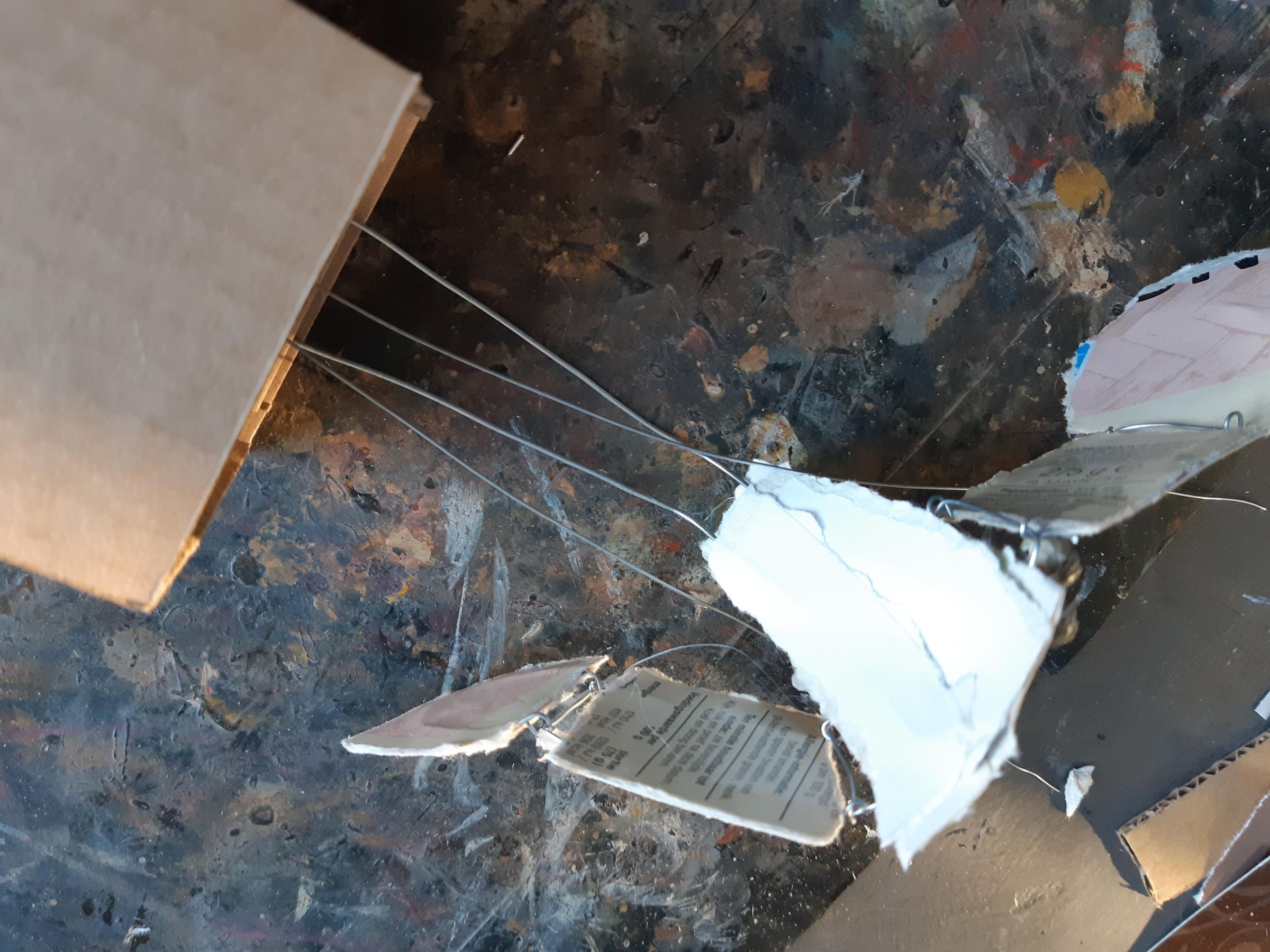 Bird Out of the Box : 10 Steps (with Pictures) - Instructables