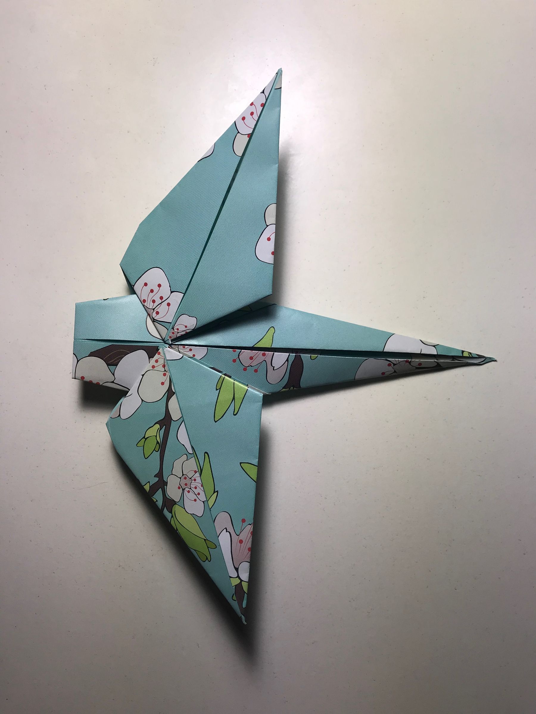 Origami Dragonfly : 14 Steps - Instructables