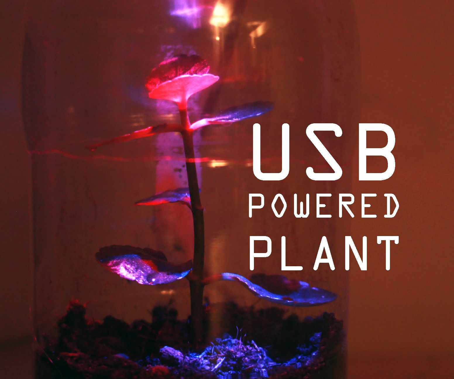 USB Powered Plant : 8 Steps - Instructables