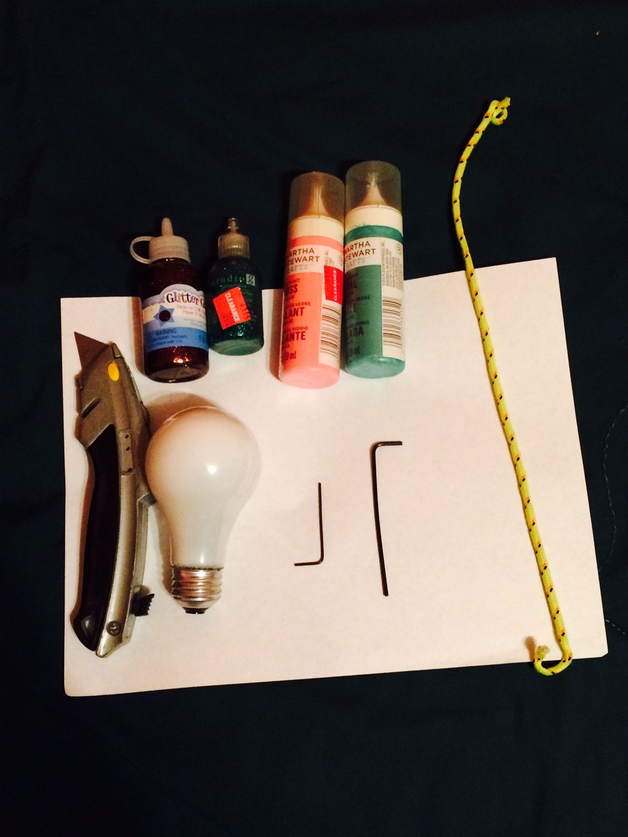 Light Bulb Flower Vase : 8 Steps - Instructables
