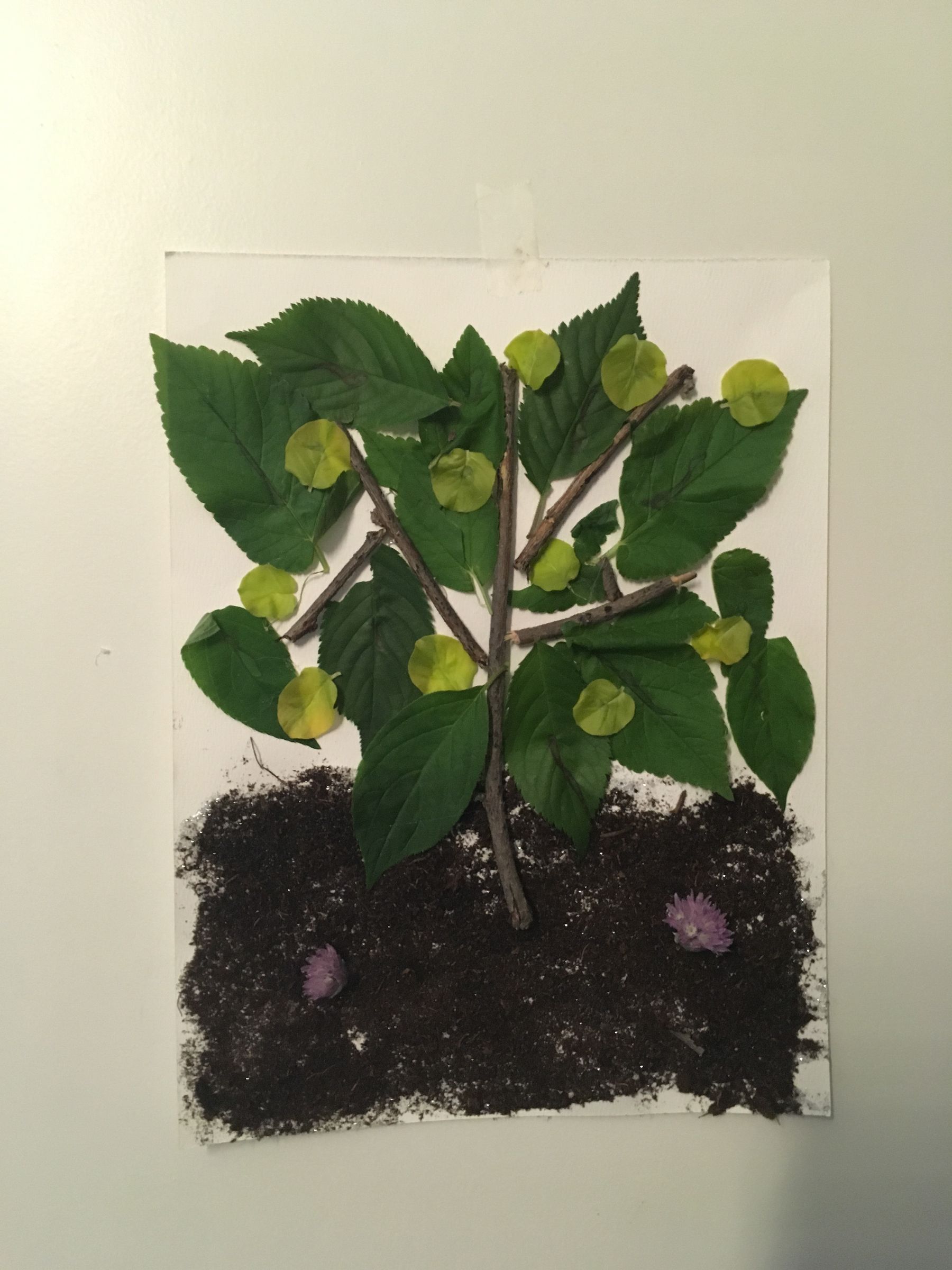 How to Make a Nature Picture : 7 Steps - Instructables