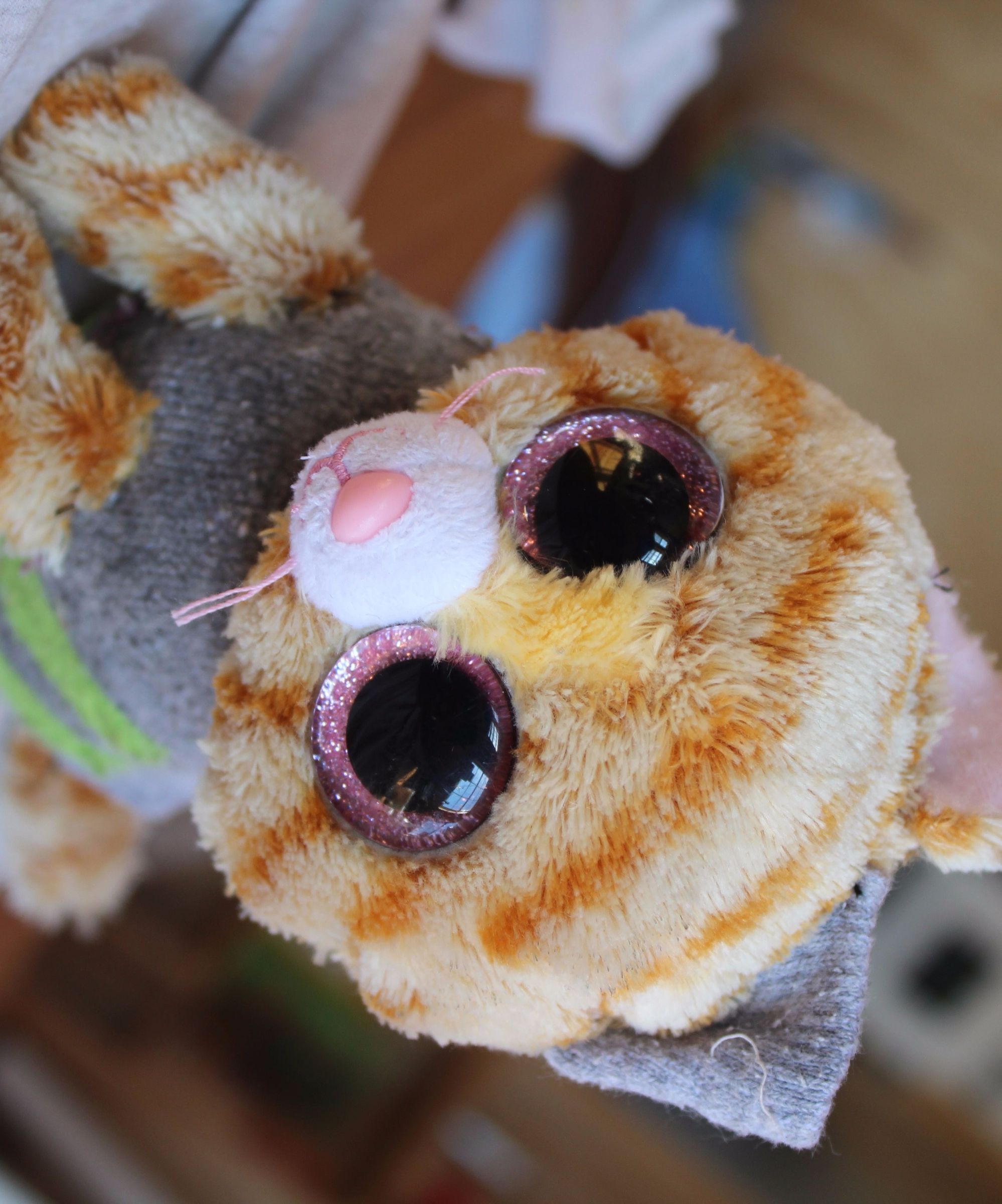 How to Make a Franken-Kitty : 4 Steps (with Pictures) - Instructables