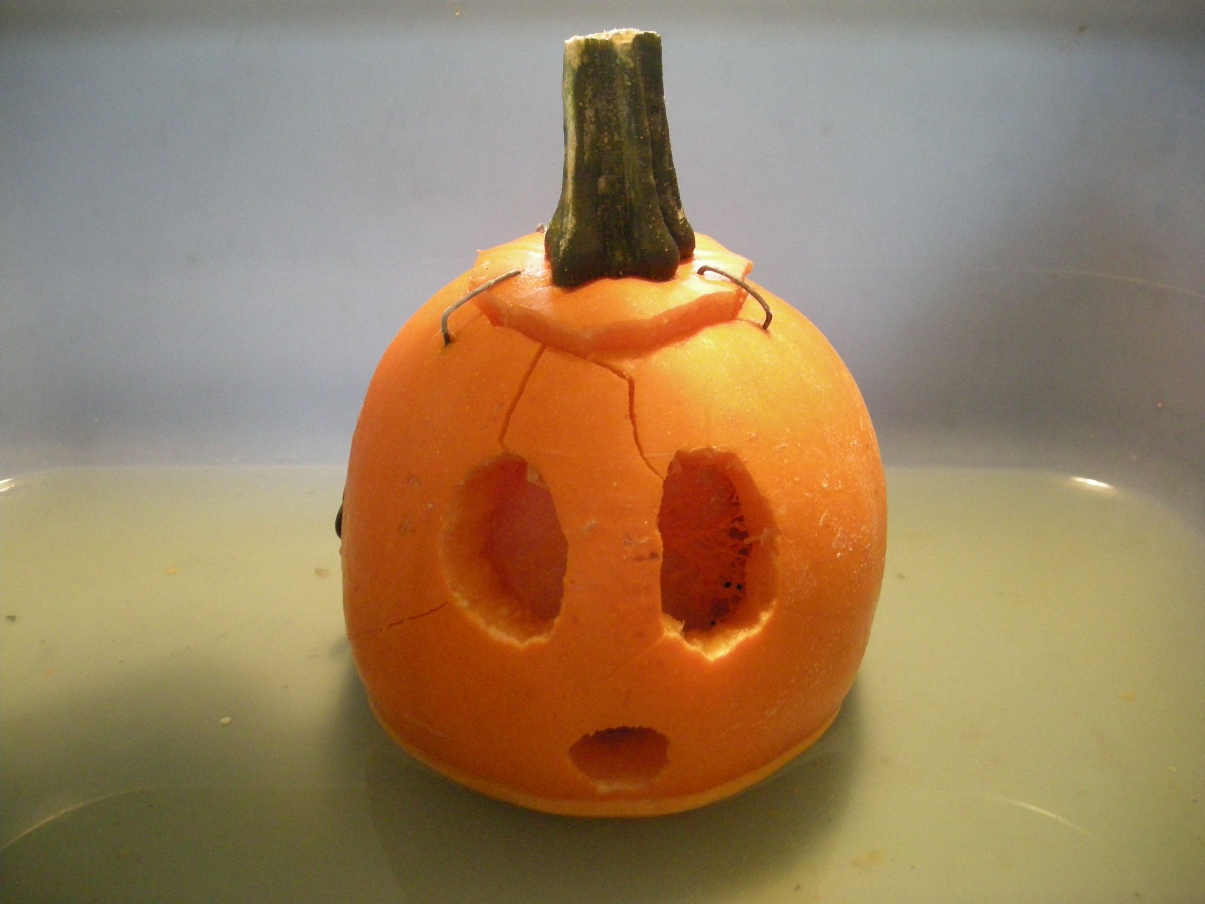 Pumpkin Surgery : 9 Steps - Instructables