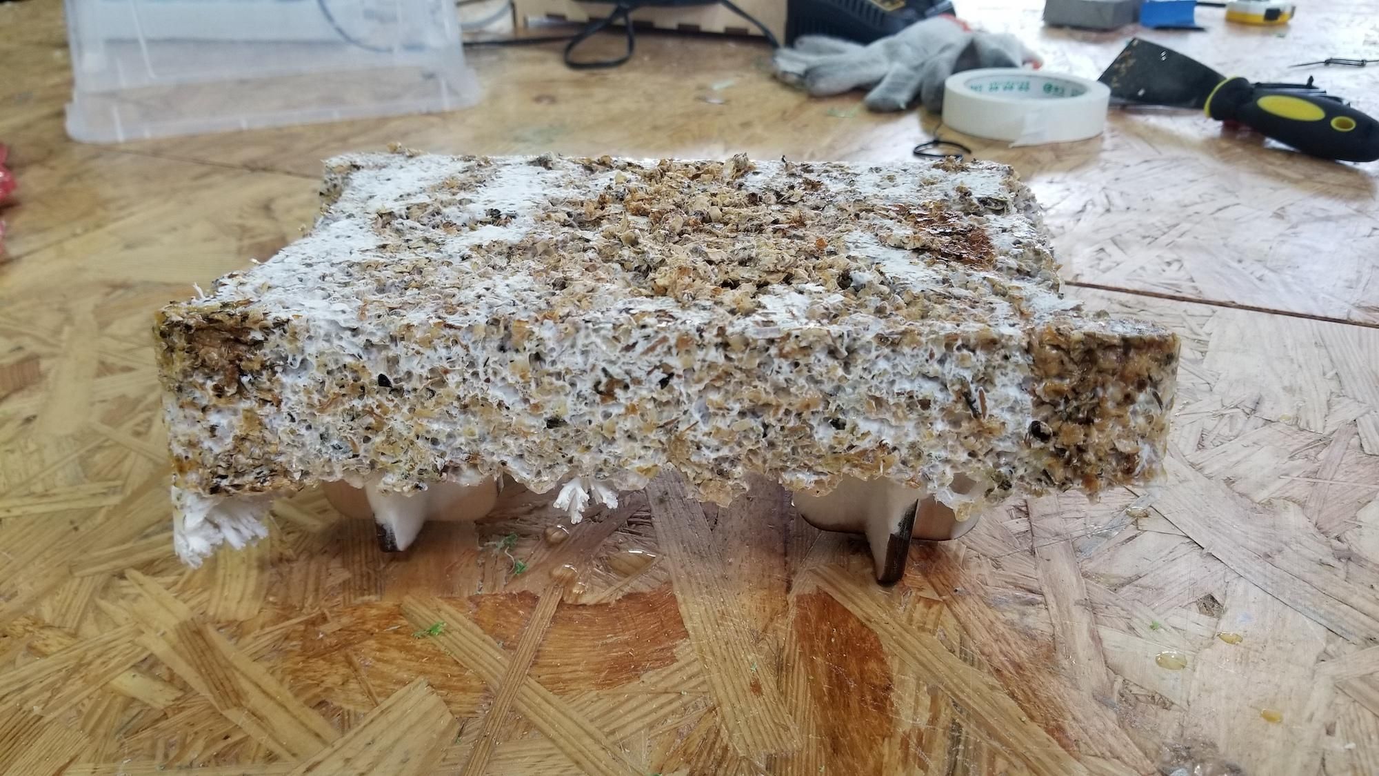 Mycelium Stool (prototype) : 8 Steps - Instructables