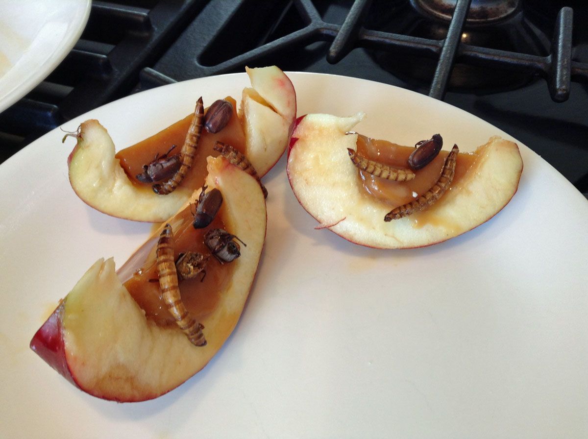 Salty Bug, Caramel Stuffed Apples : 7 Steps - Instructables