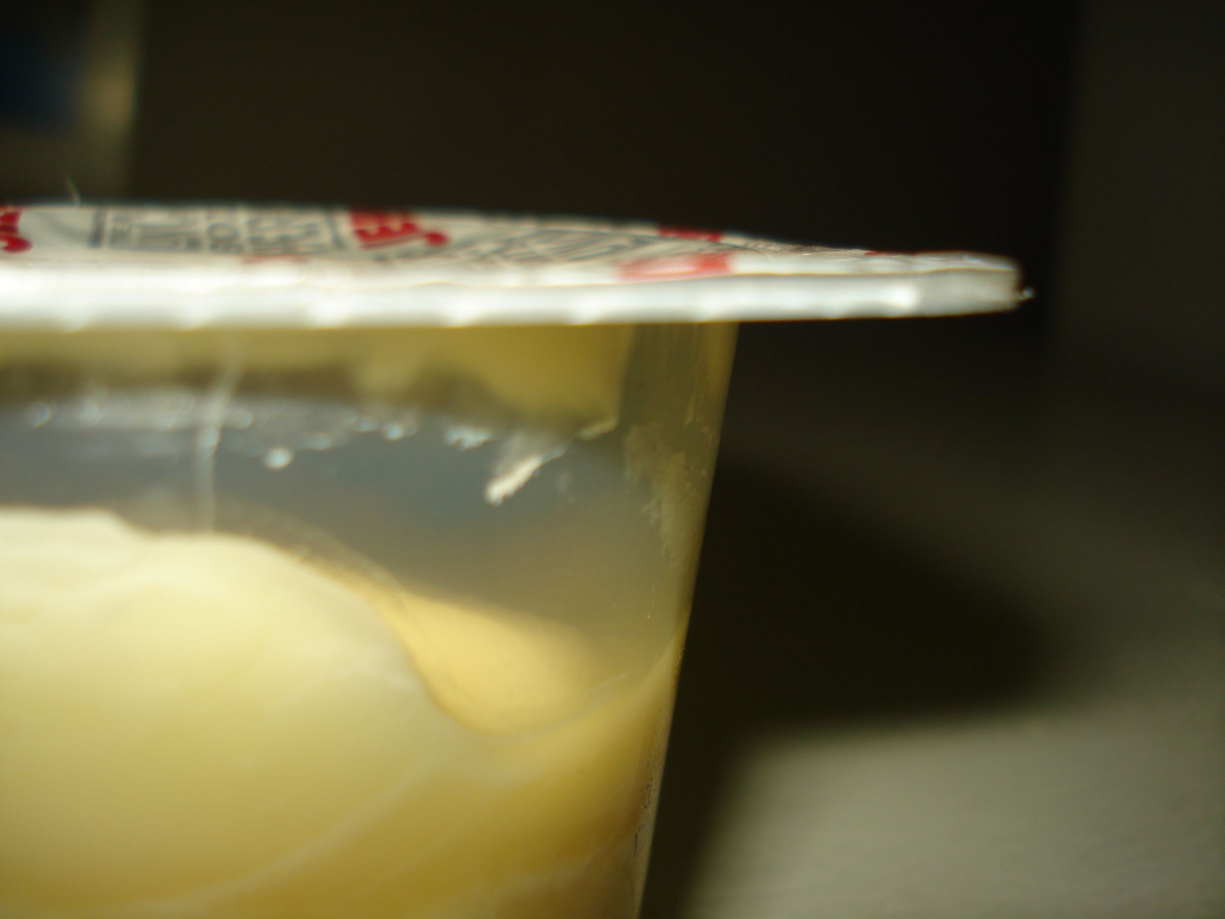 How to Separate a Bag of Pudding From the Pudding Cup : 6 Steps ...