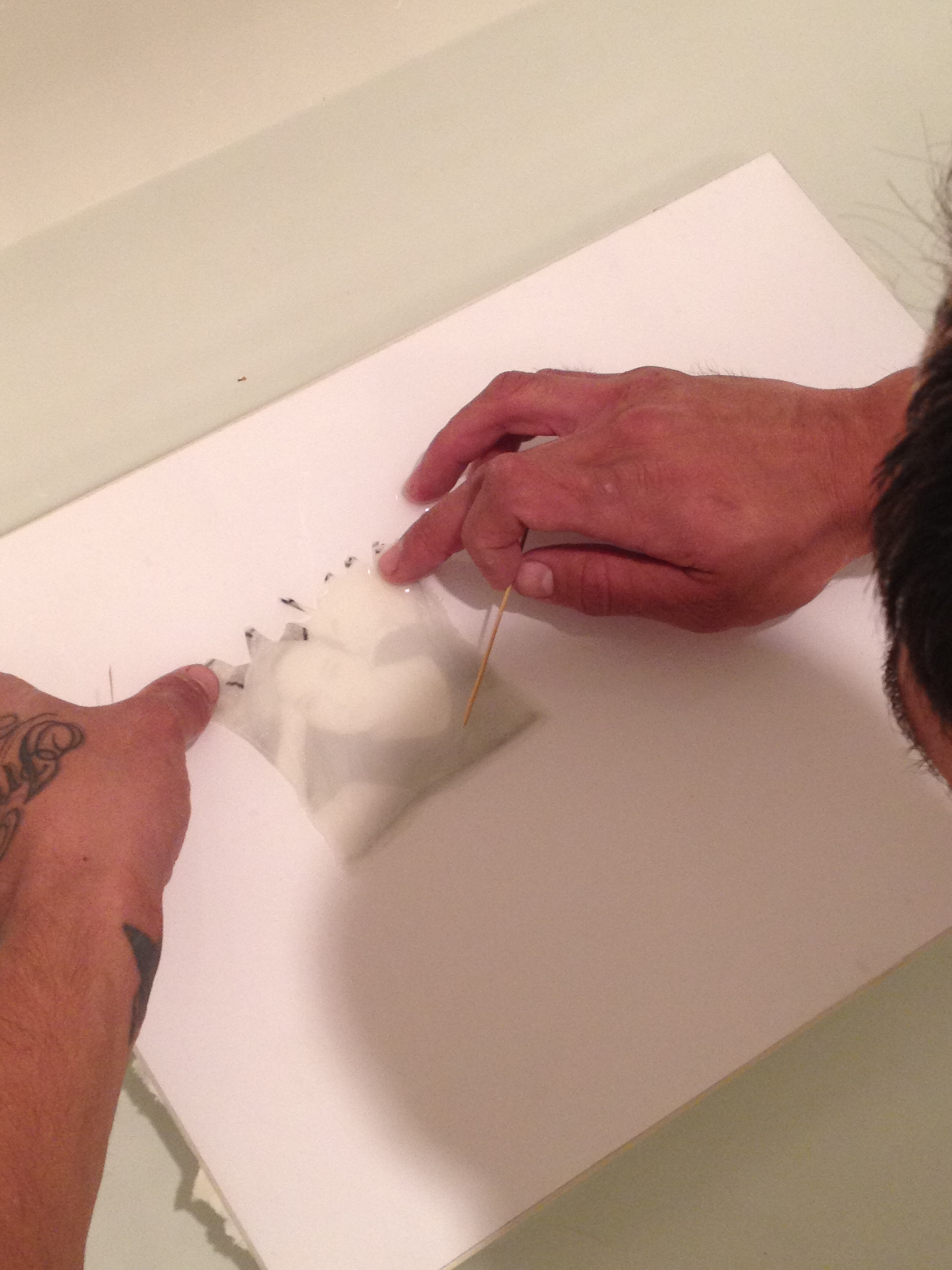 Emulsion Transfers : 14 Steps - Instructables