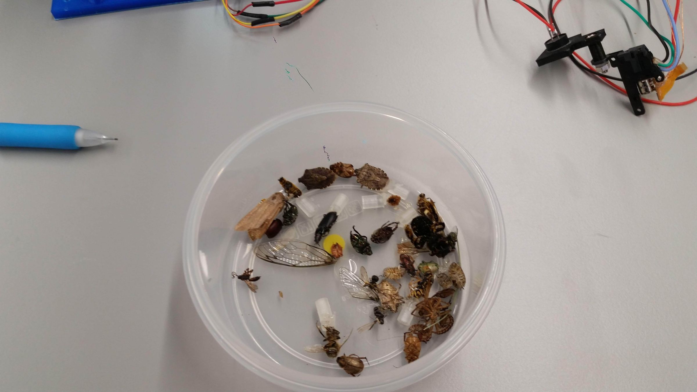 LadyBug: a Motorized Microscope and 3D Scanner for Very Small Things ...