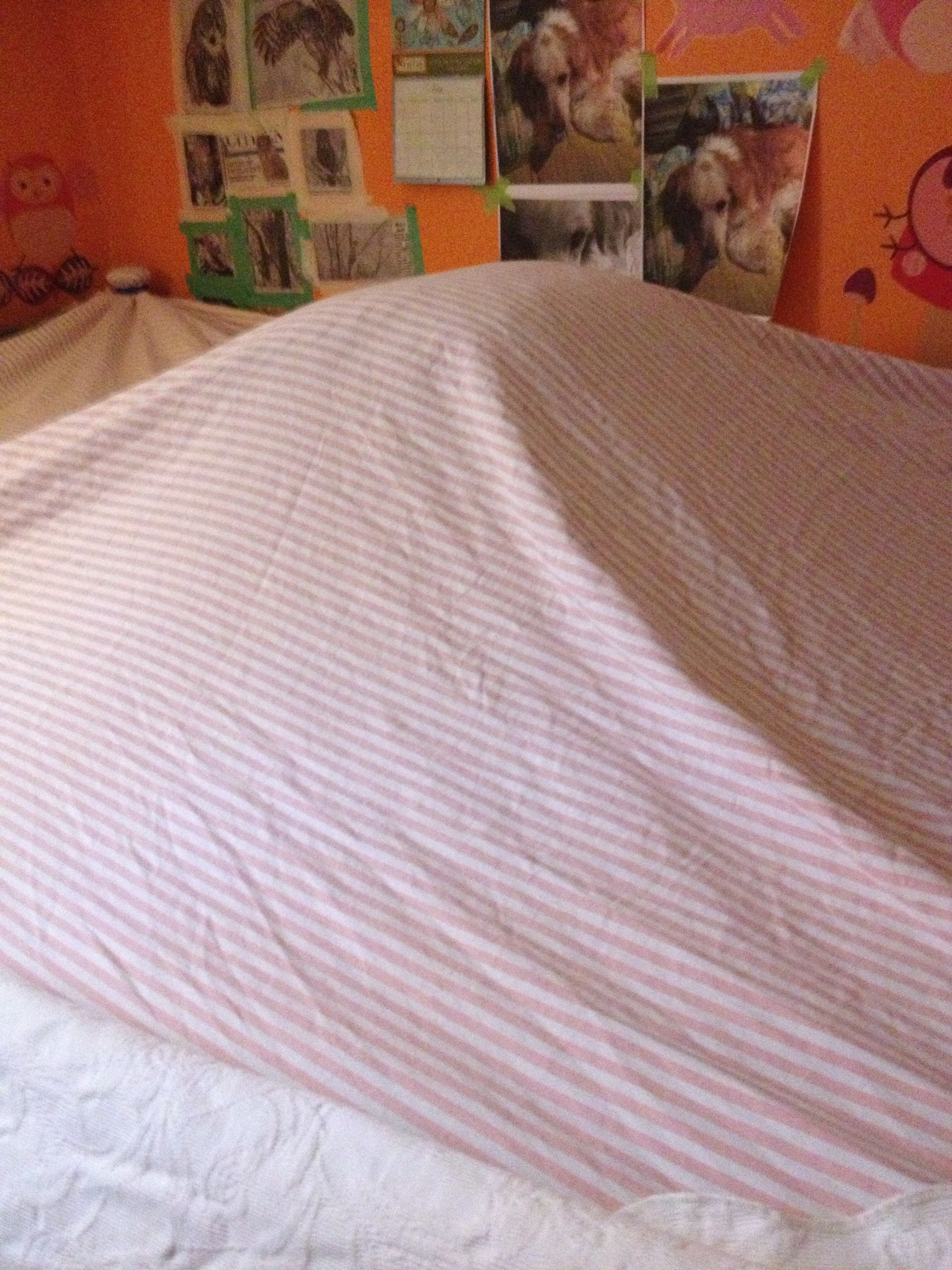 Awesome Bed Fort : 5 Steps - Instructables