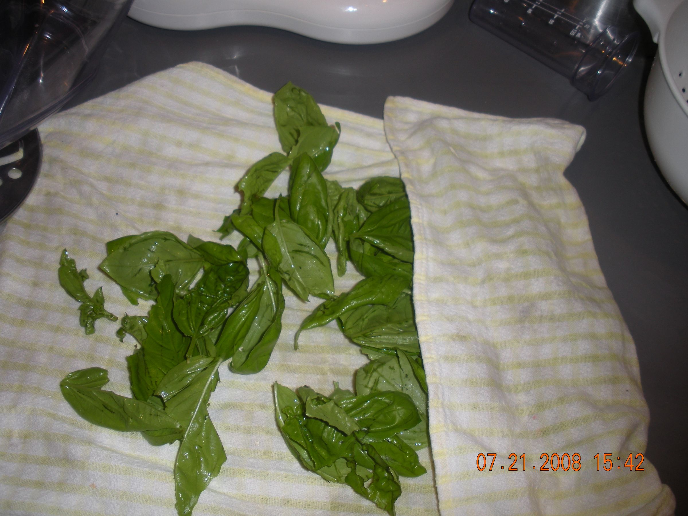 Frozen Basil Bullets : 4 Steps - Instructables