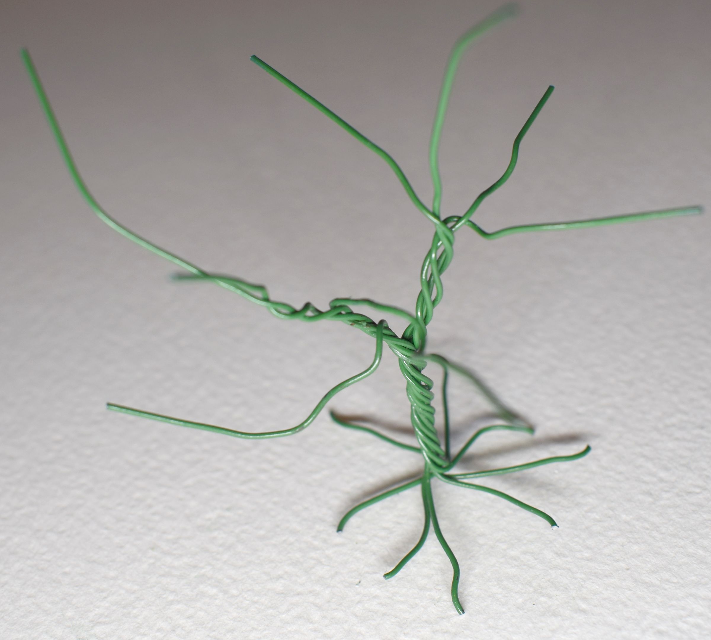 Modelling Trees : 9 Steps (with Pictures) - Instructables